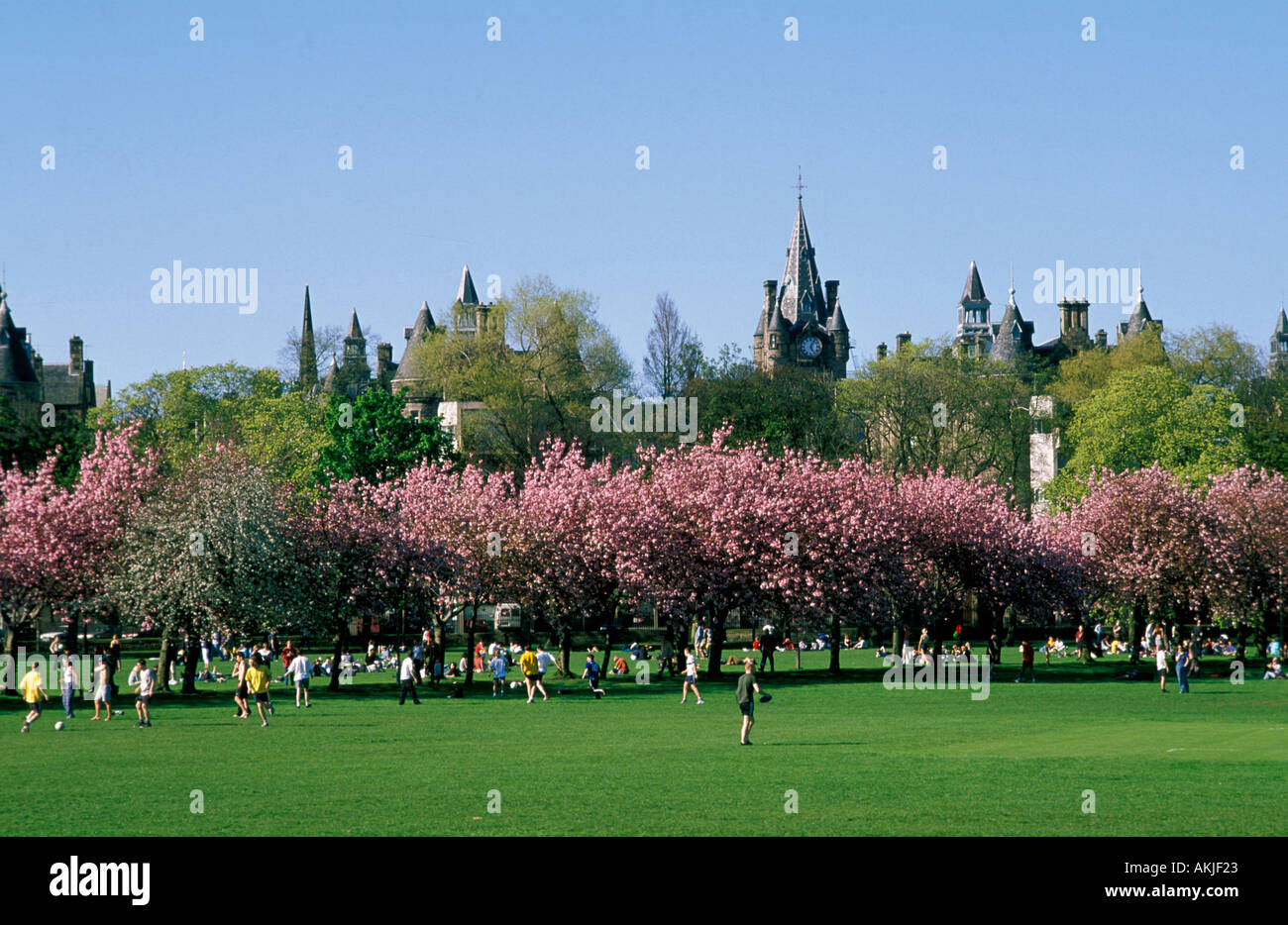 The meadows edinburgh blossom hi-res stock photography and images - Alamy