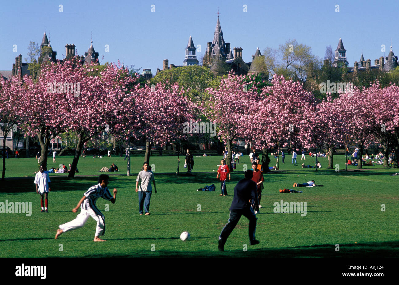 Cherry blossom meadows edinburgh hi-res stock photography and images ...