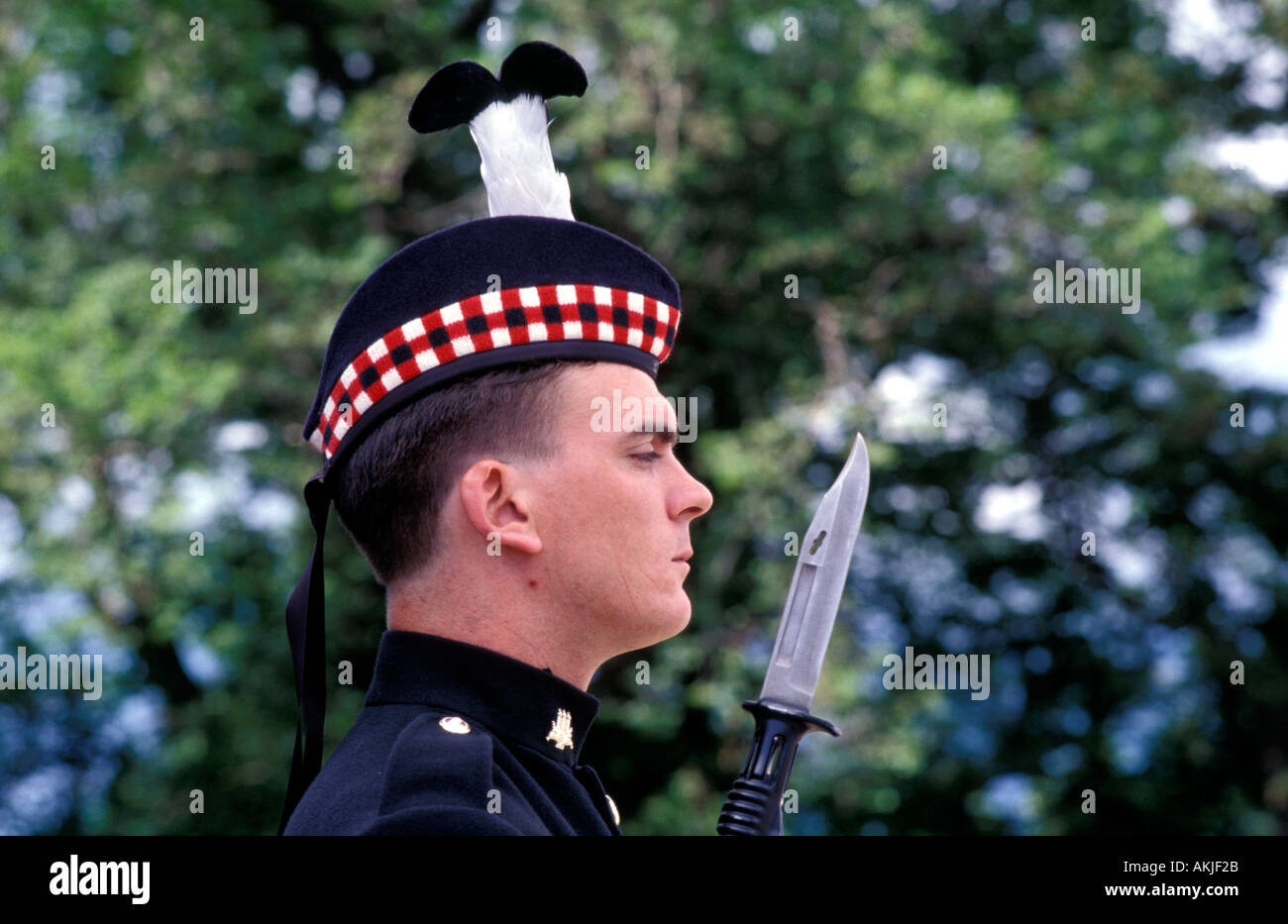 Kings scottish own borderers hi-res stock photography and images - Alamy