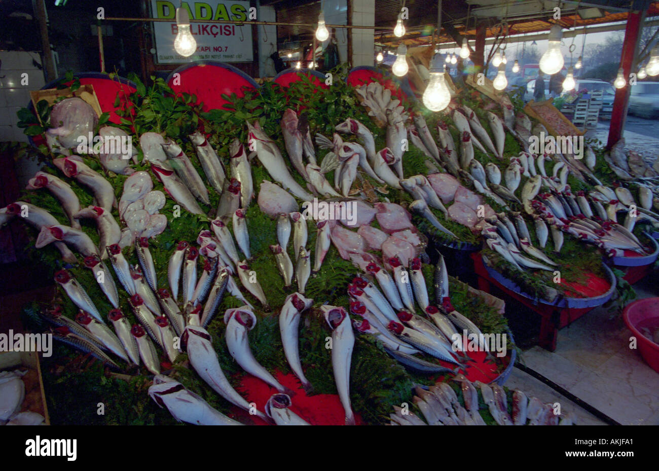 Istanbul Fish Display 1 Stock Photo - Alamy
