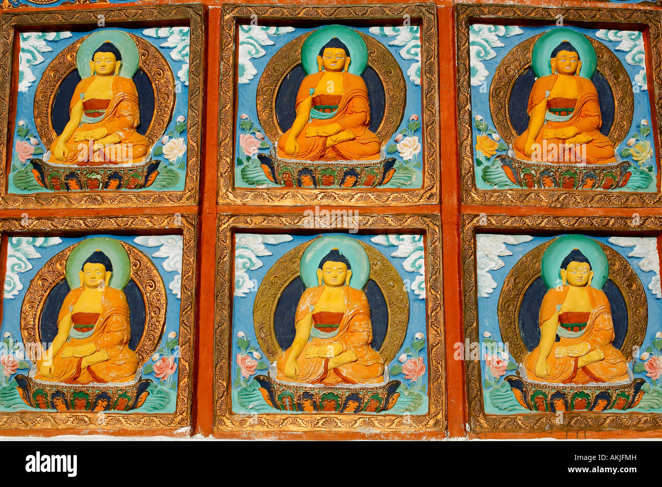 India, Jammu and Kashmir, Ladakh region, Indus valley, Leh, detail of ...