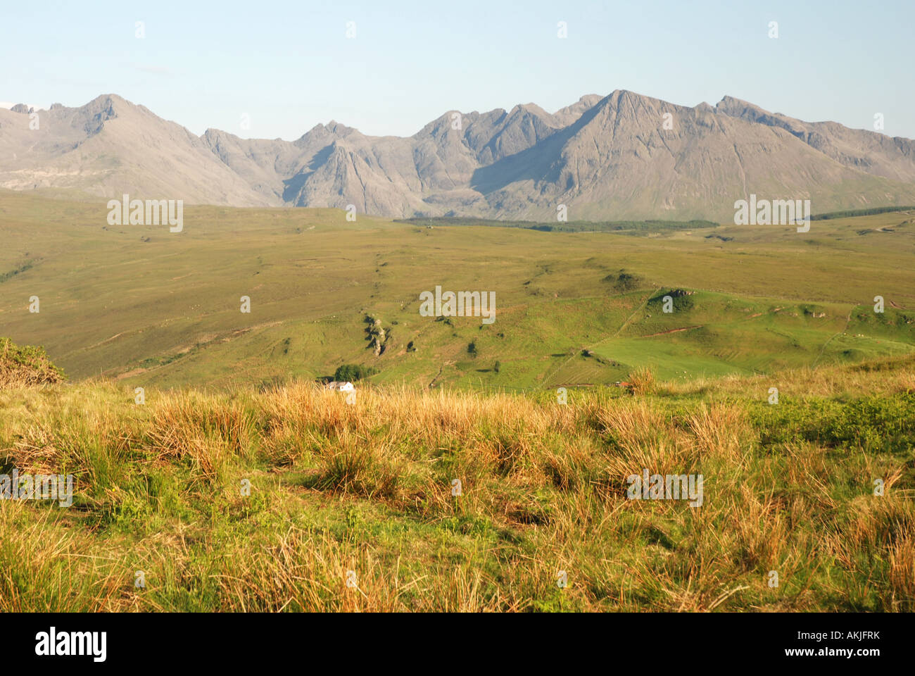 Cuilling hi-res stock photography and images - Alamy