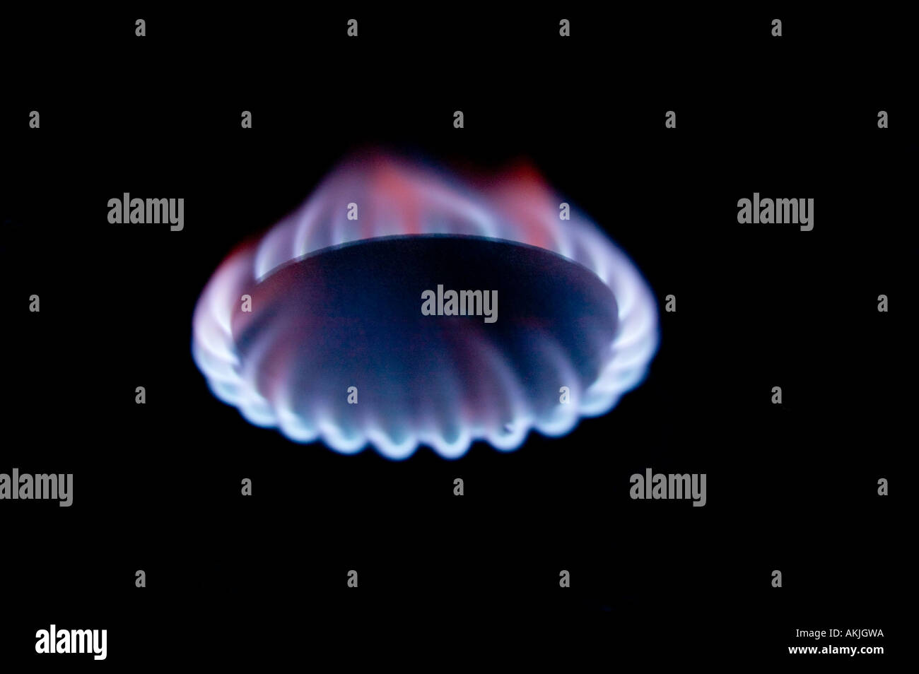 kitchen burner flame Stock Photo - Alamy