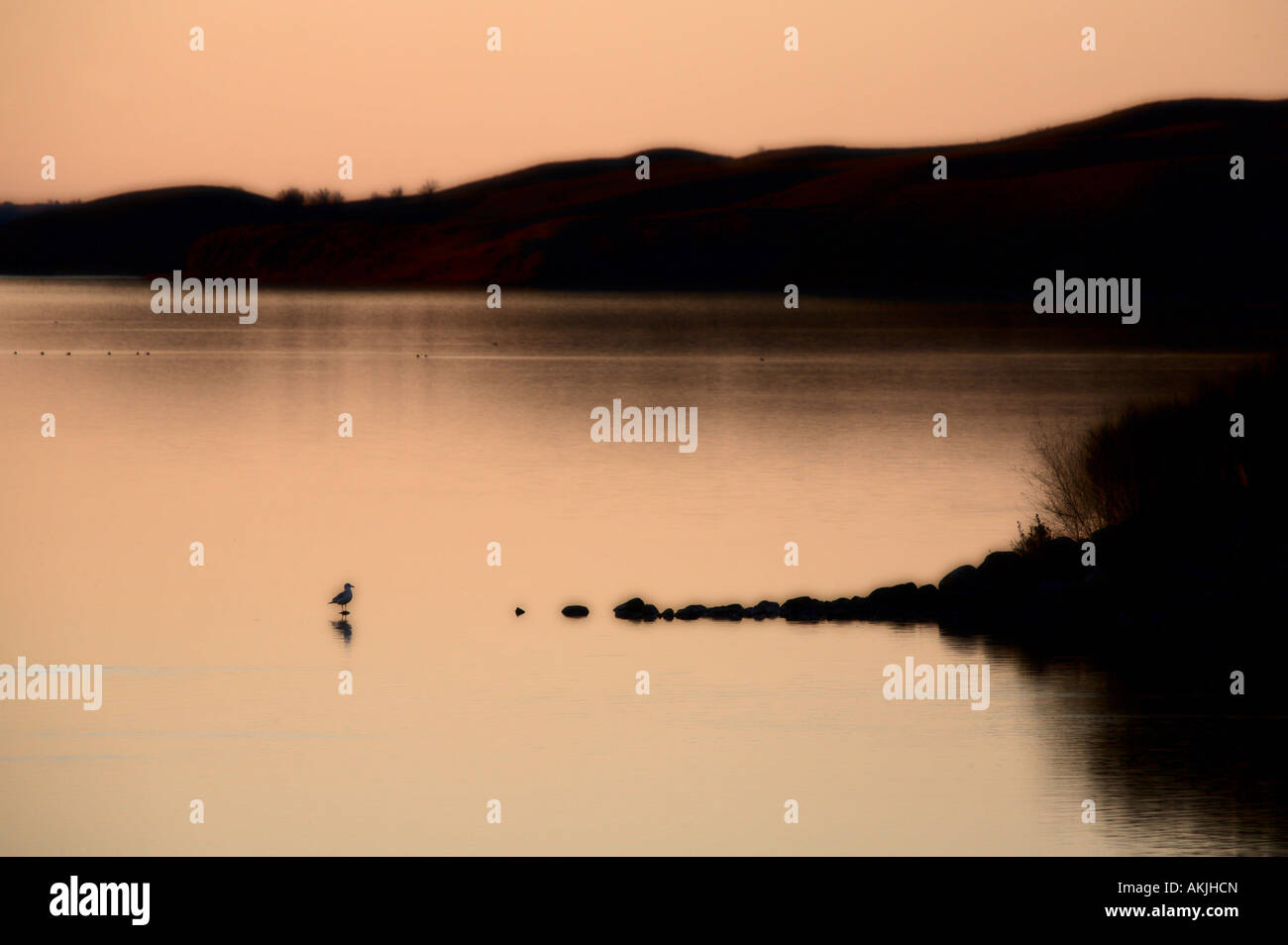 Buffalo pound provincial park hi-res stock photography and images - Alamy