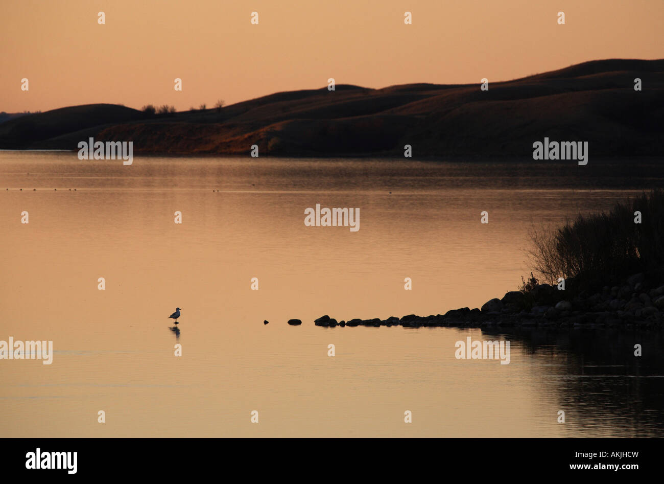 Buffalo pound provincial park hi-res stock photography and images - Alamy