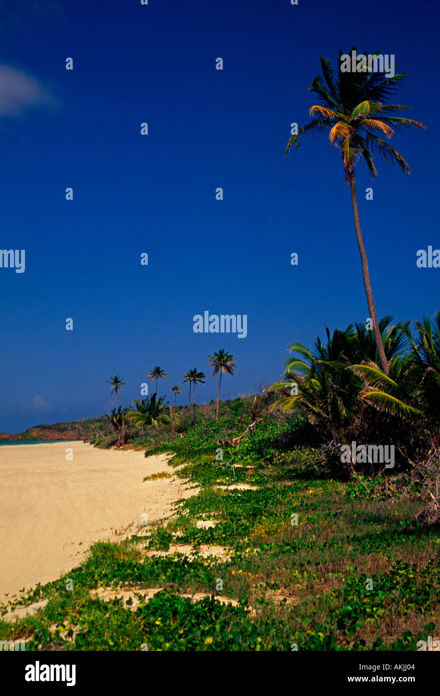 Soni beach hi-res stock photography and images - Alamy