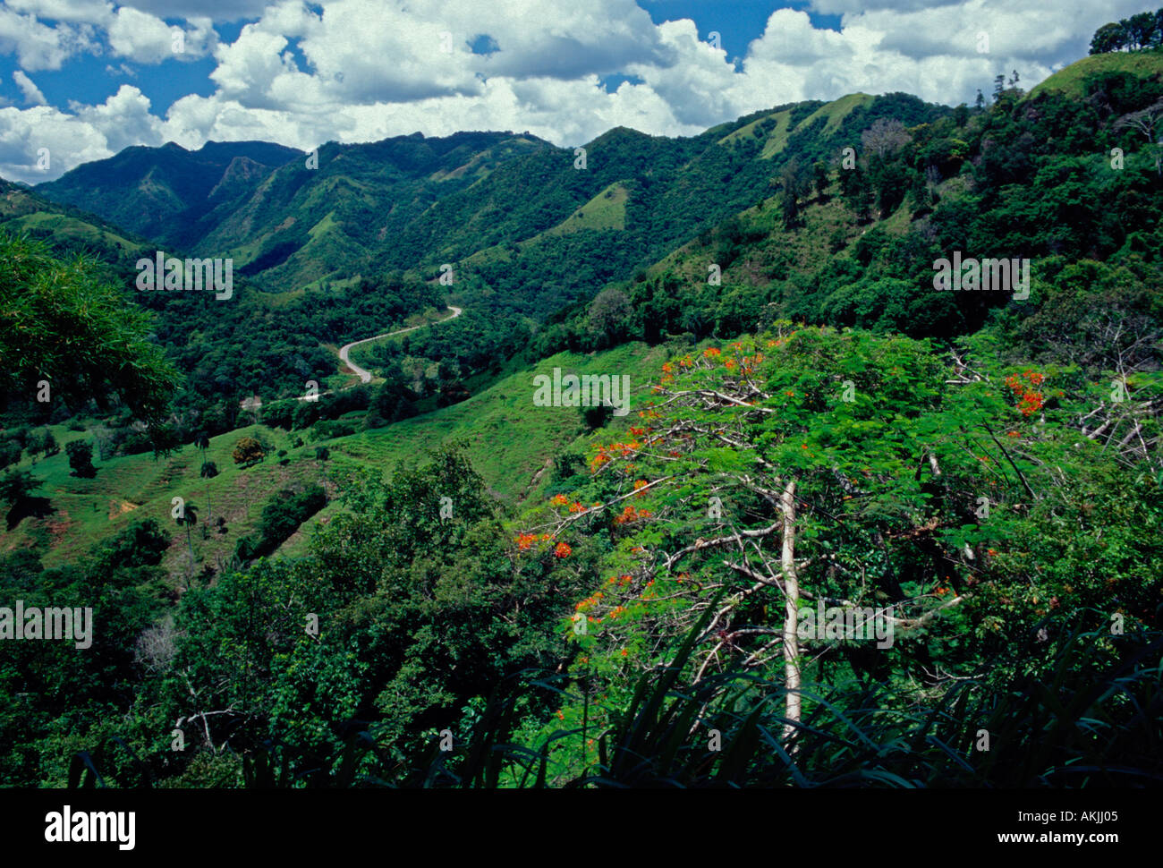 mountain landscape, Central Mountain Range, south of the town of Ciales ...