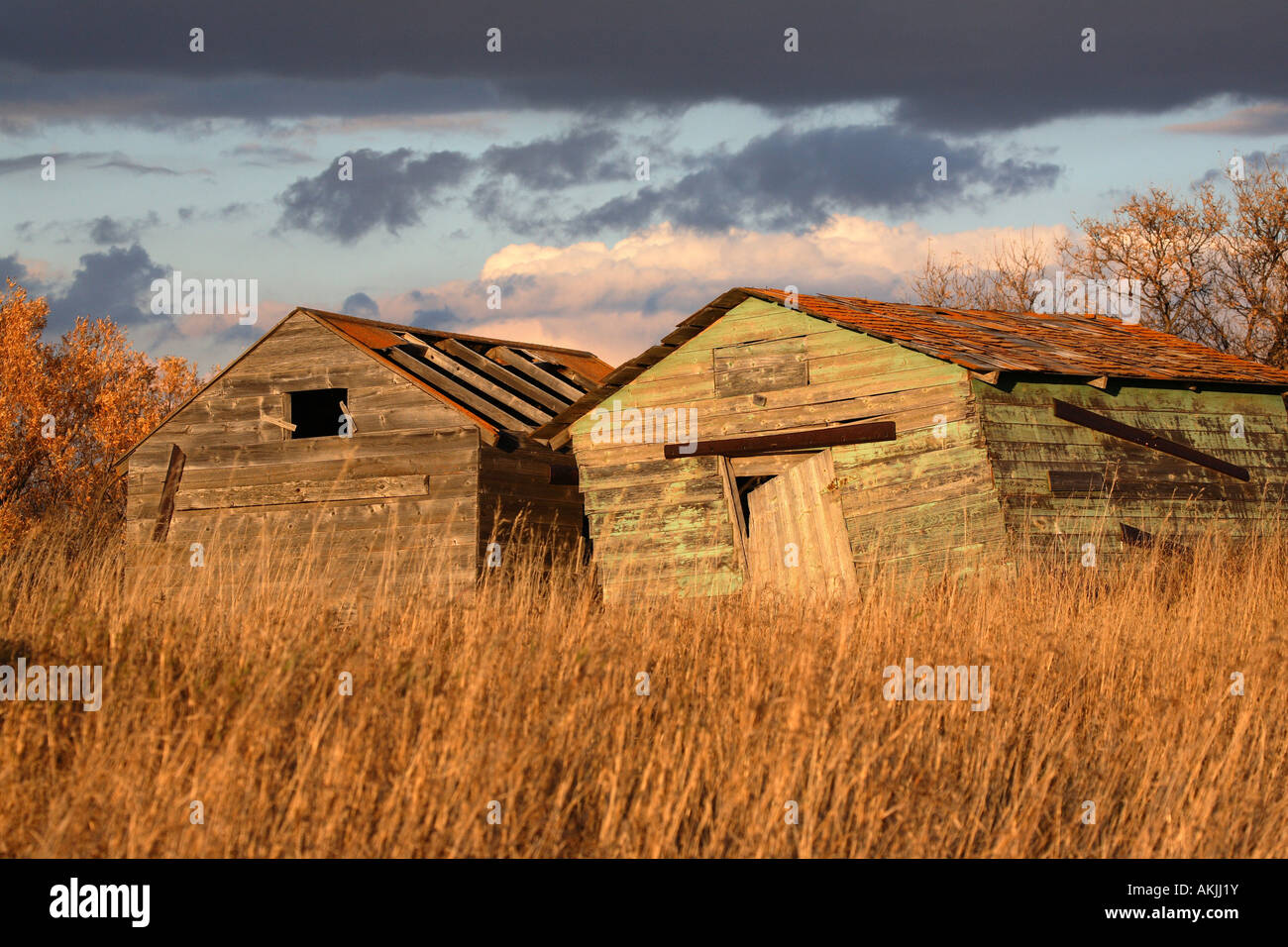Unused wooden granaries Stock Photo - Alamy