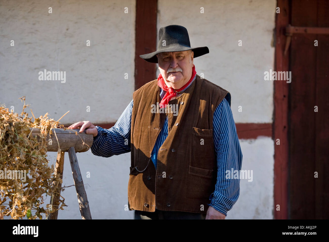 Swedish farmer hi-res stock photography and images - Alamy
