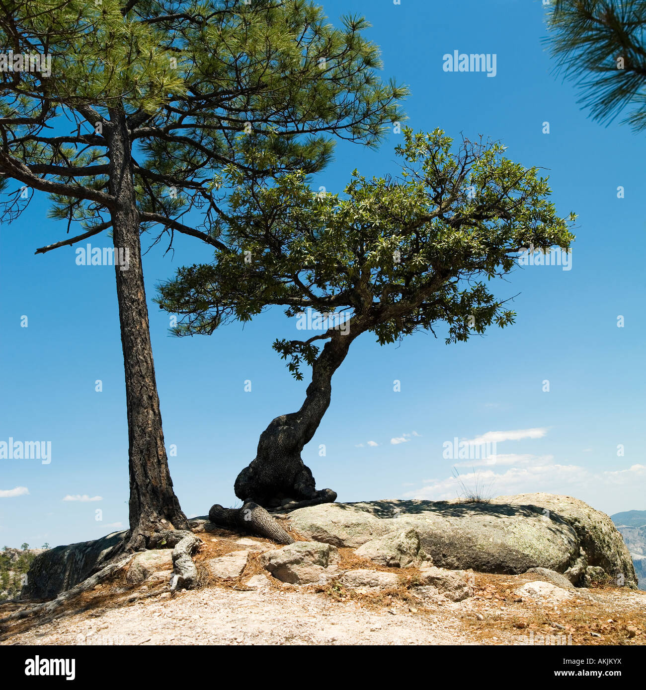 Maze hi res hi-res stock photography and images - Alamy
