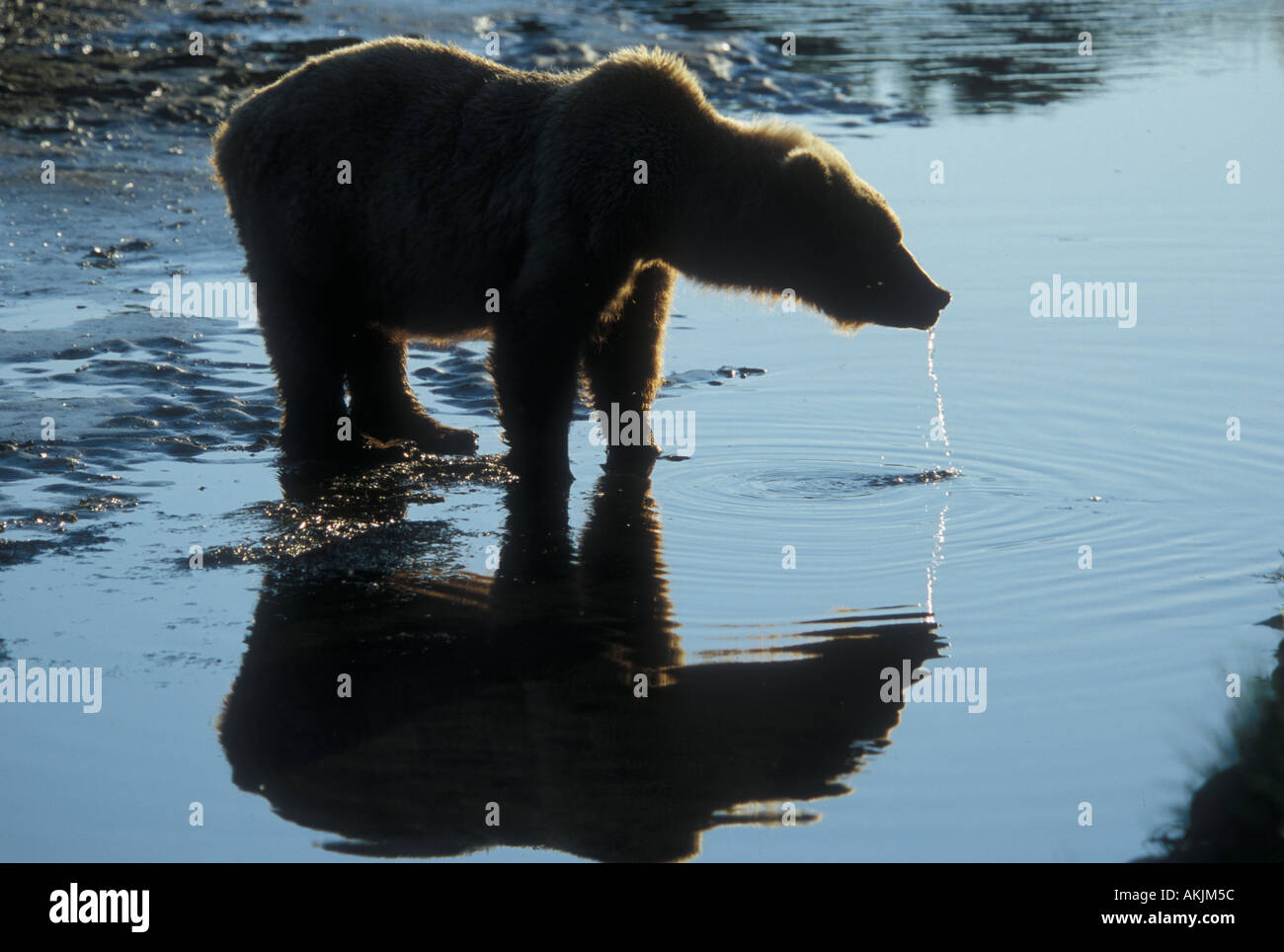 Spiegelund hi-res stock photography and images - Alamy
