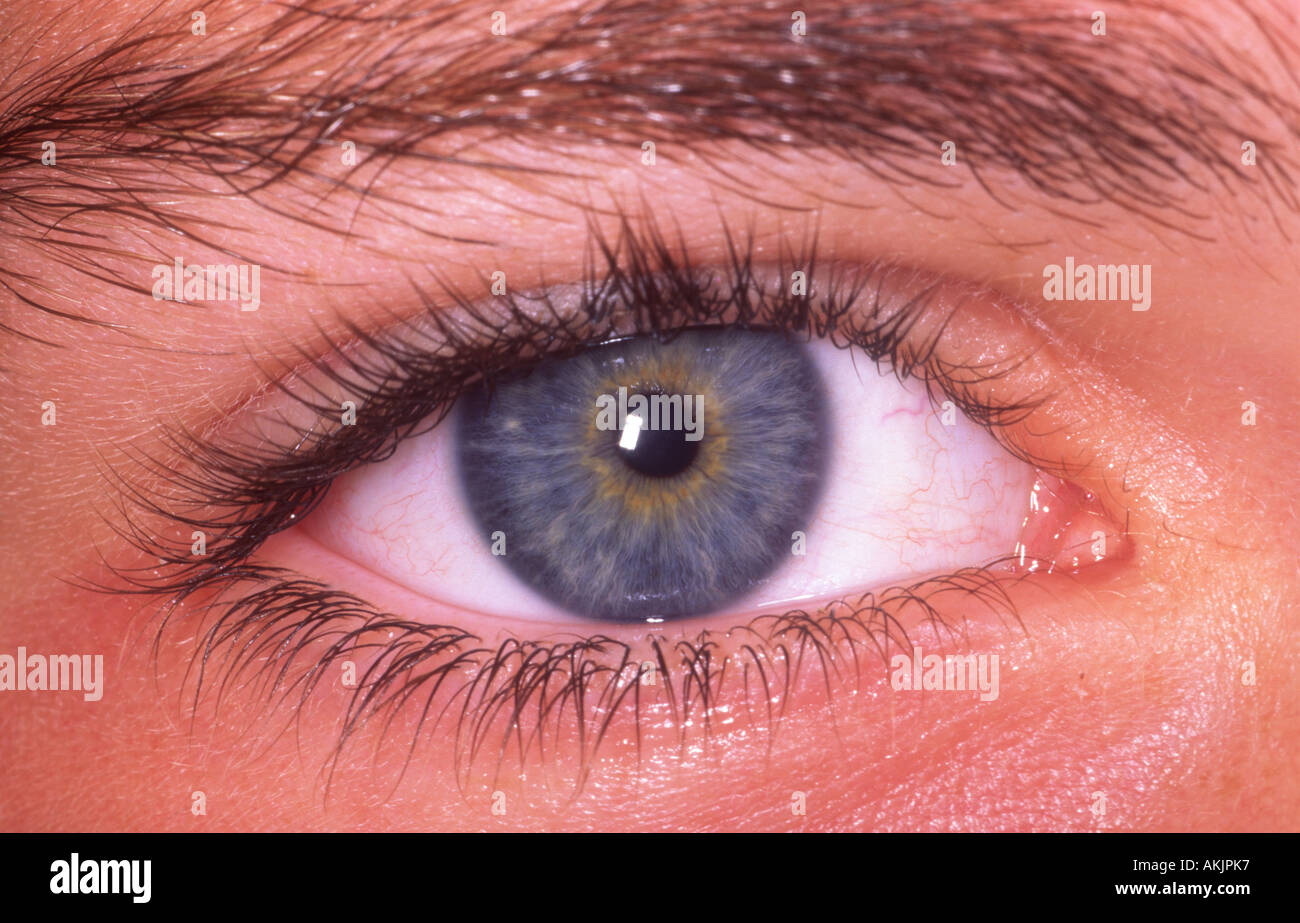 Close up of an open human blue eye Stock Photo - Alamy