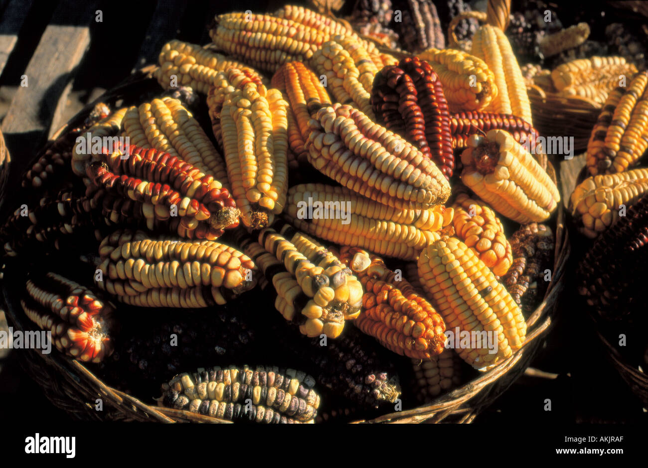 Basket of maize Peru Stock Photo - Alamy