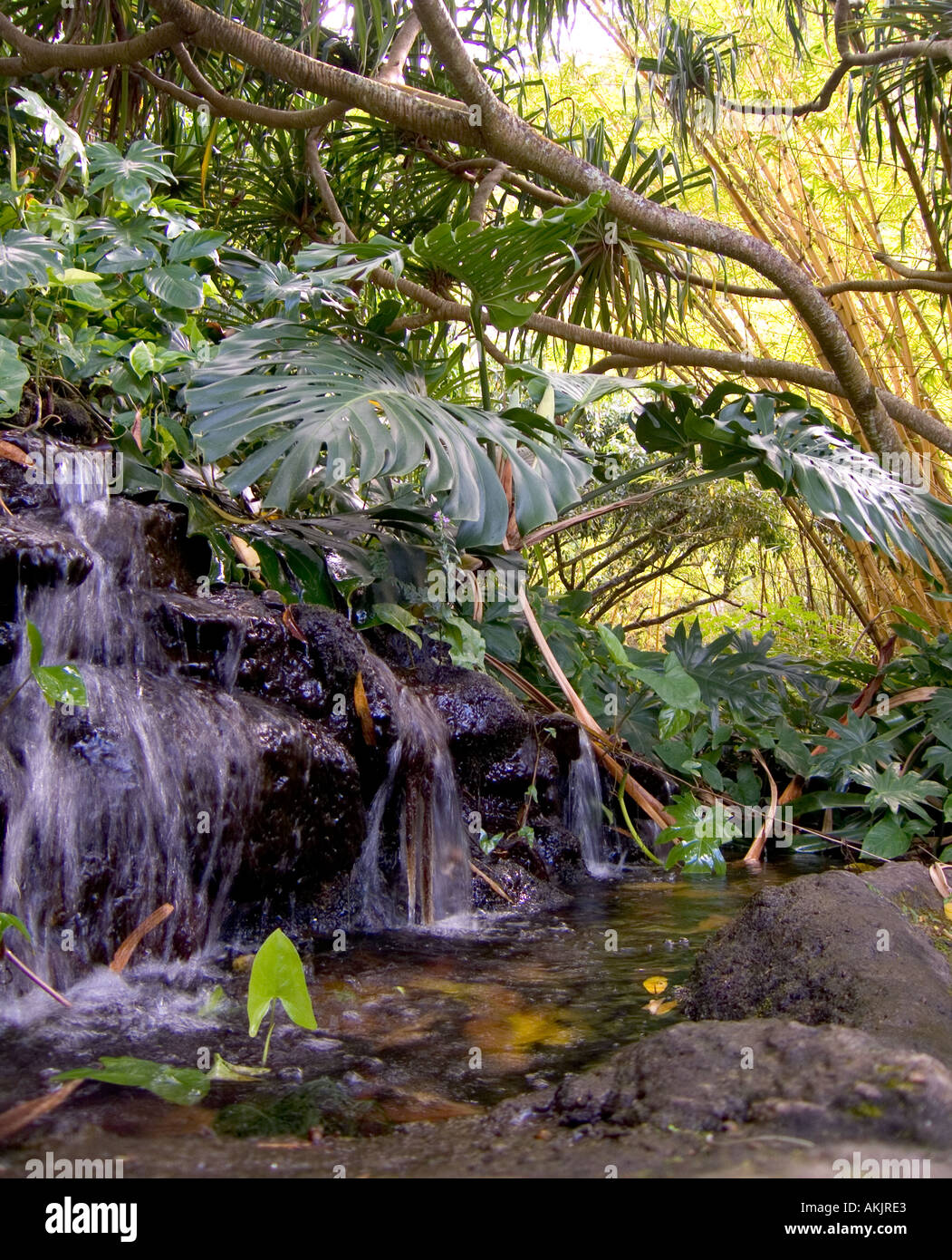 Oahu Hawaii North Waimea Valley waterfall Stock Photo - Alamy
