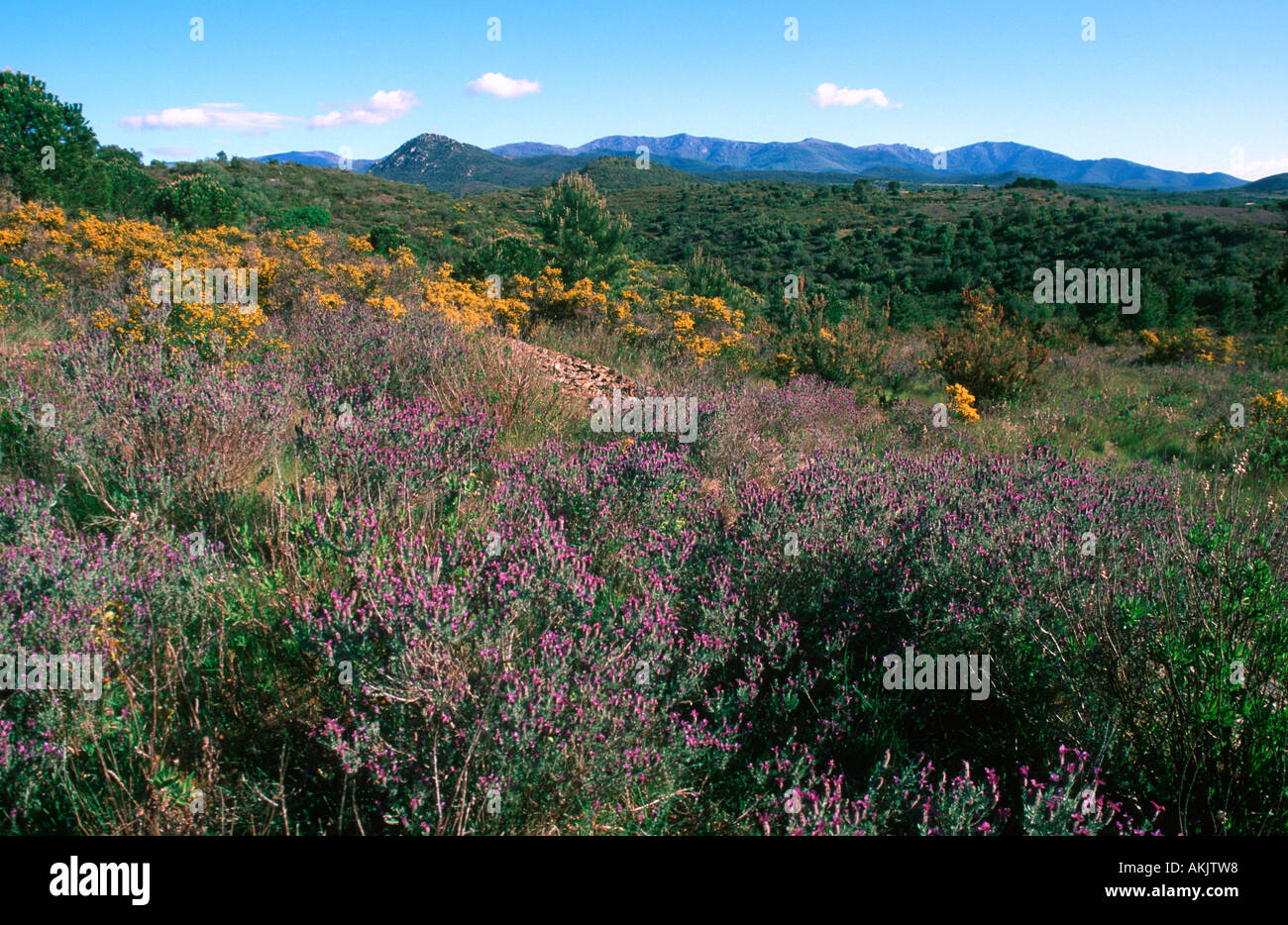 Mediterranean pyrenees hi-res stock photography and images - Alamy