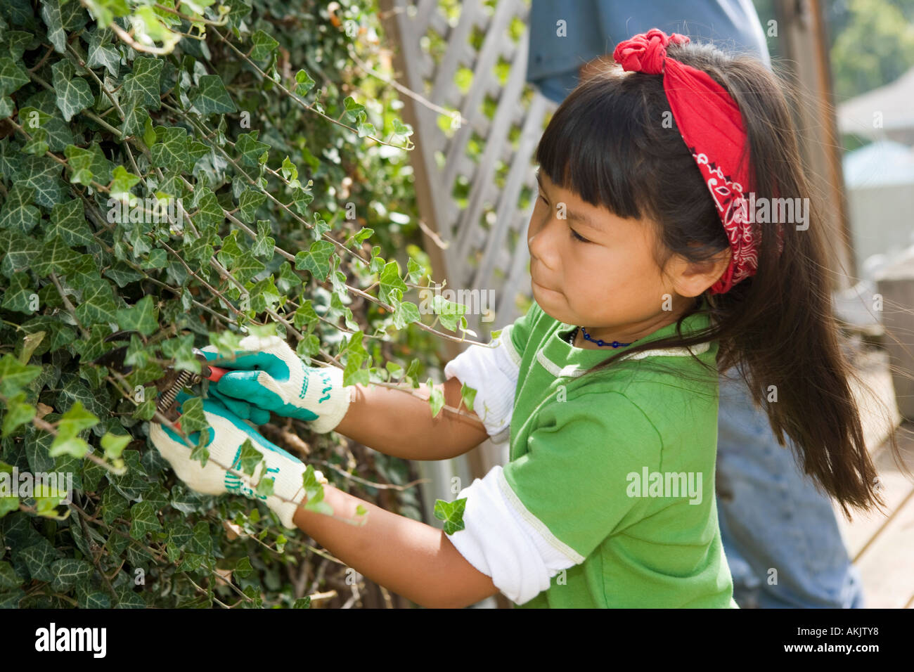 Little girl trimming ivy outside Stock Photo - Alamy