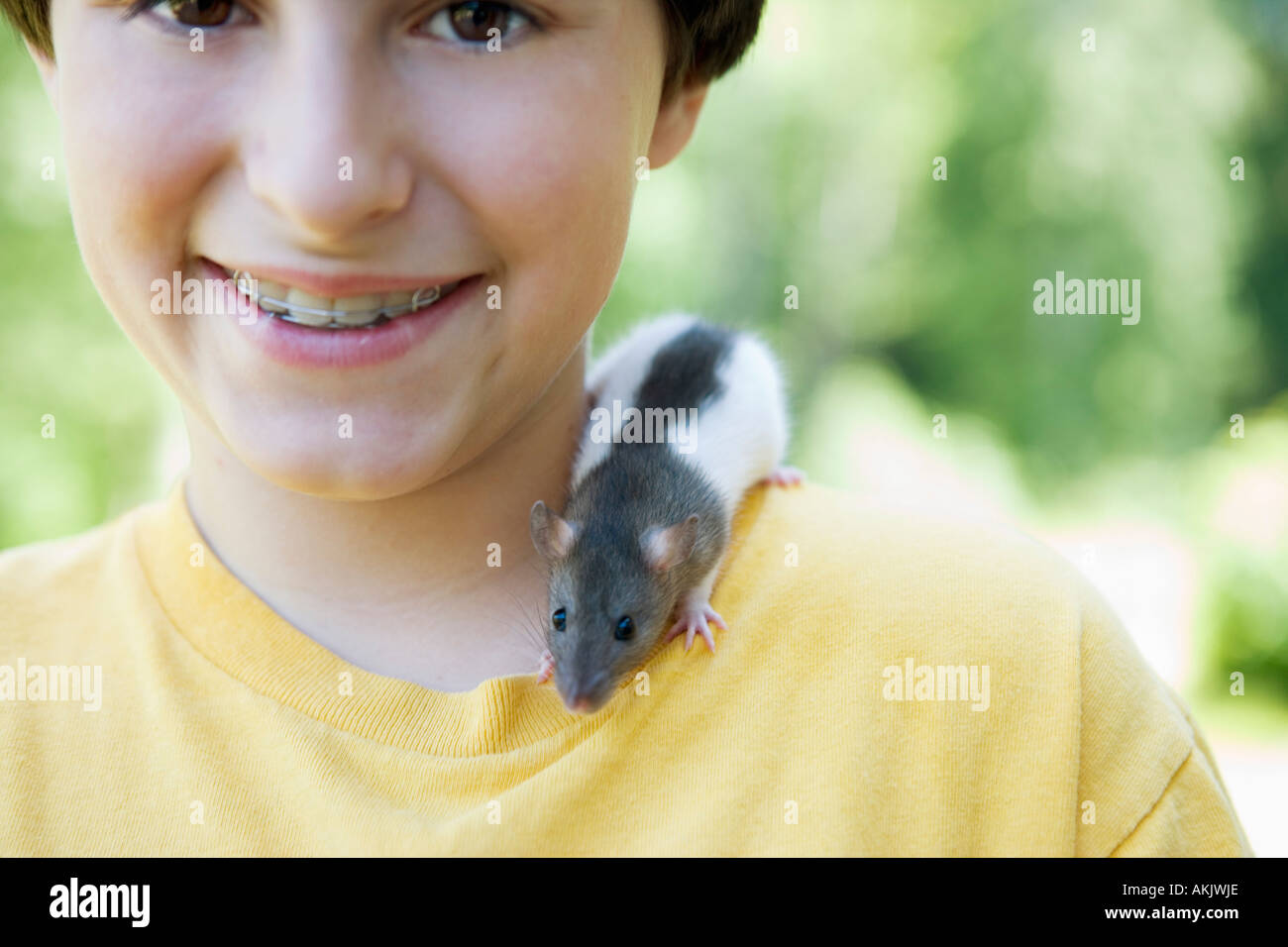 Rat portrait hi-res stock photography and images - Alamy