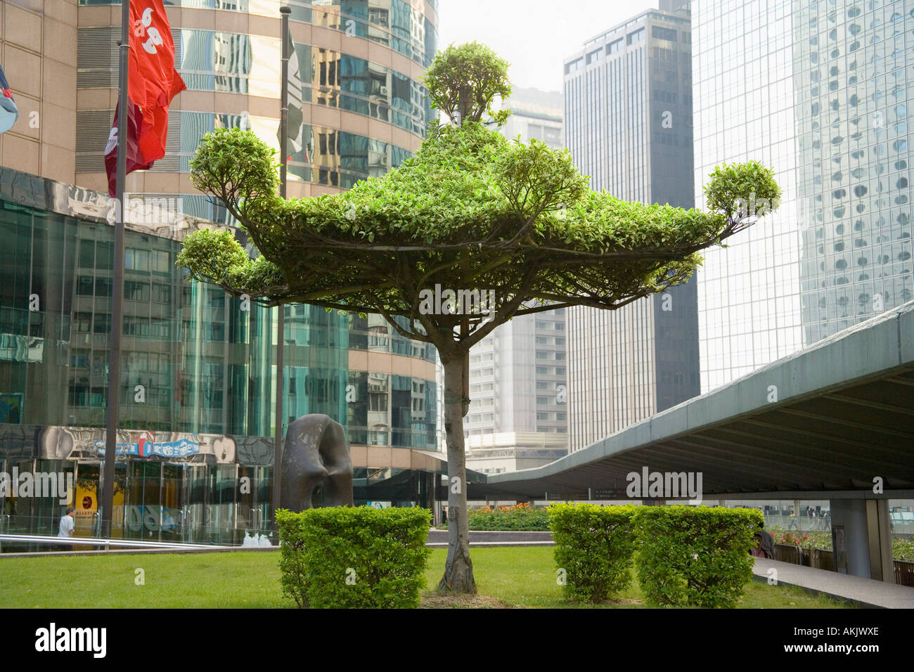 Pagoda topiary in square with skyscrapers Stock Photo - Alamy