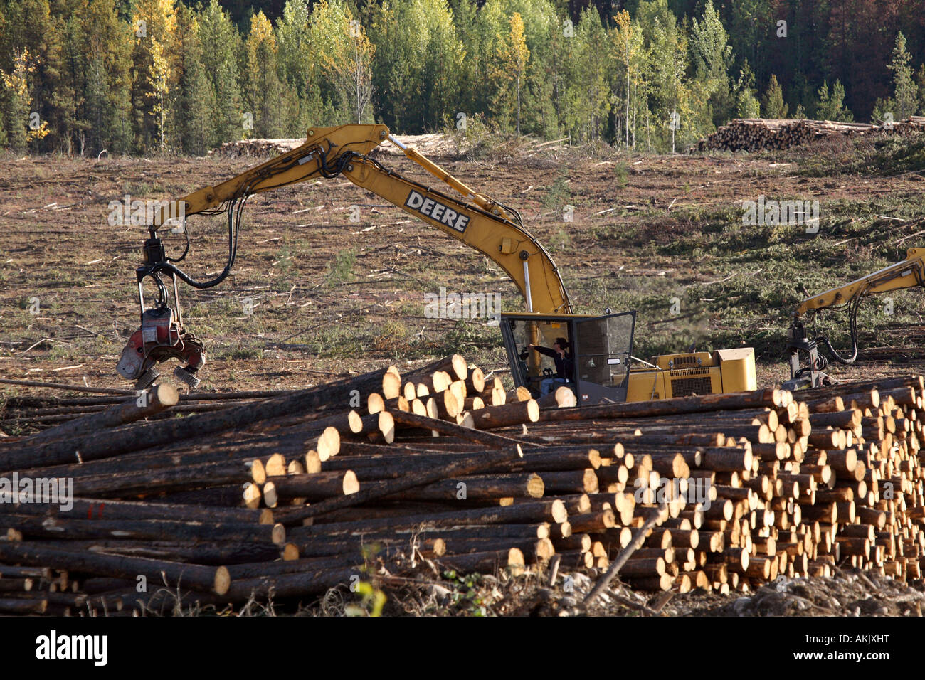 Logging machine canada hi-res stock photography and images - Alamy