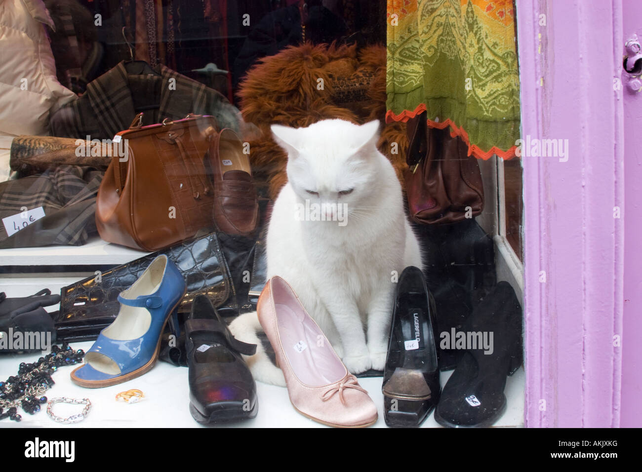 A white cat sitting in the window of a clothes shop in Paris France ...
