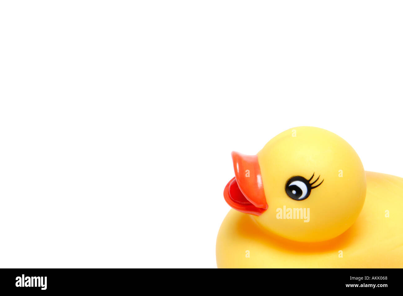 Squeaky rubber duck hi-res stock photography and images - Alamy