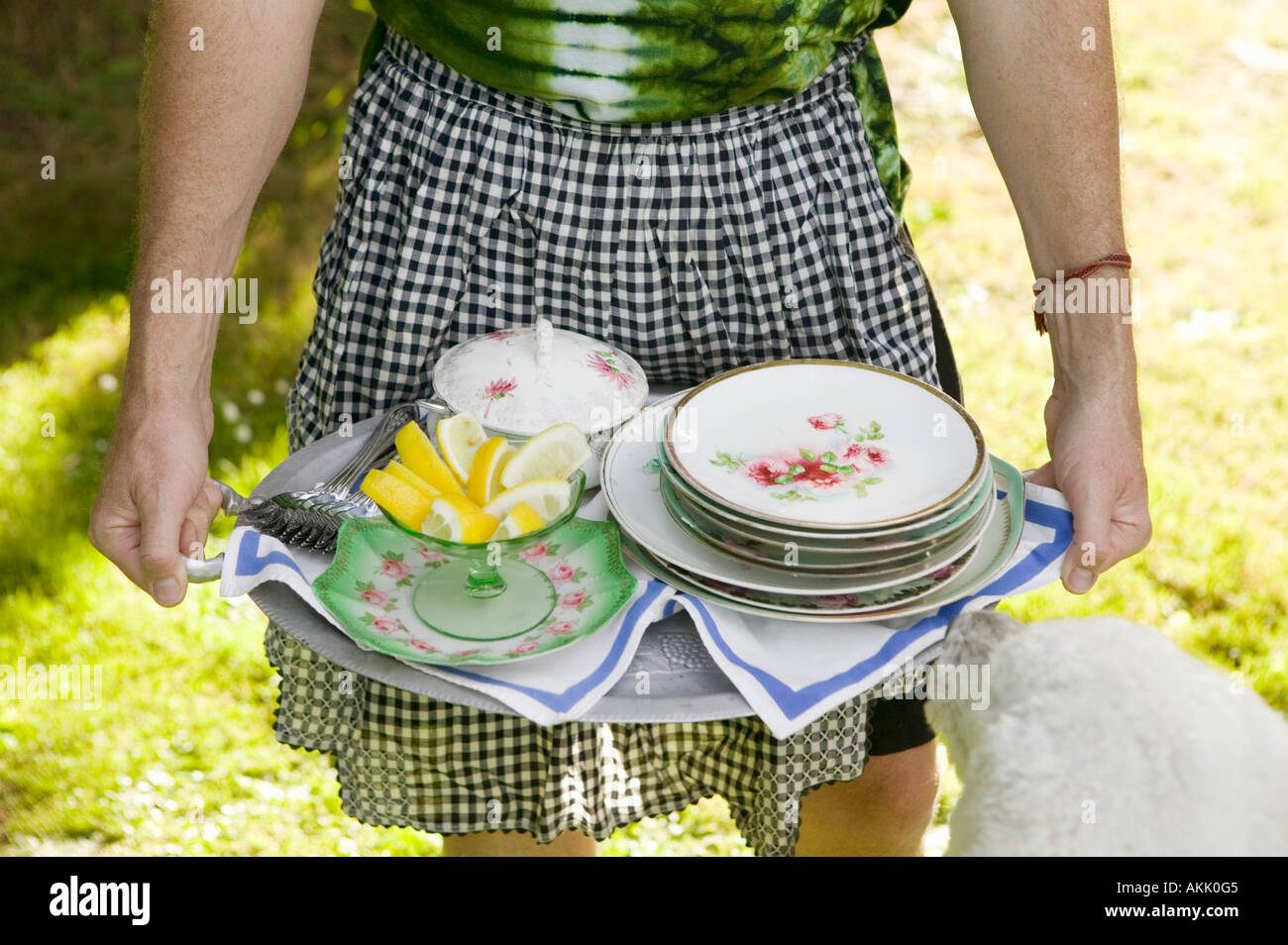 Humorous dog holding tray hi-res stock photography and images - Alamy