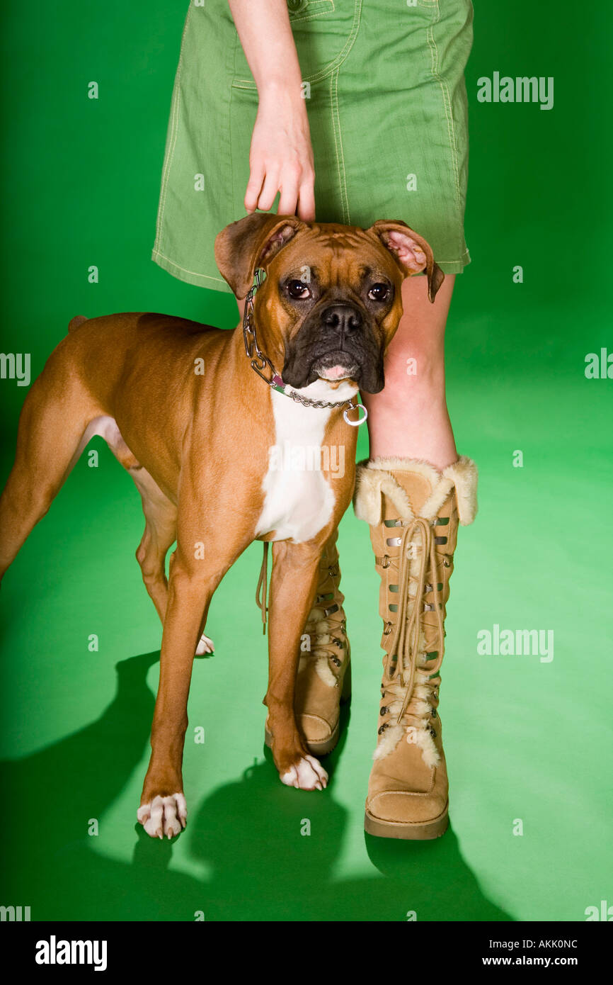 Human boxer dog woman hi-res stock photography and images - Alamy