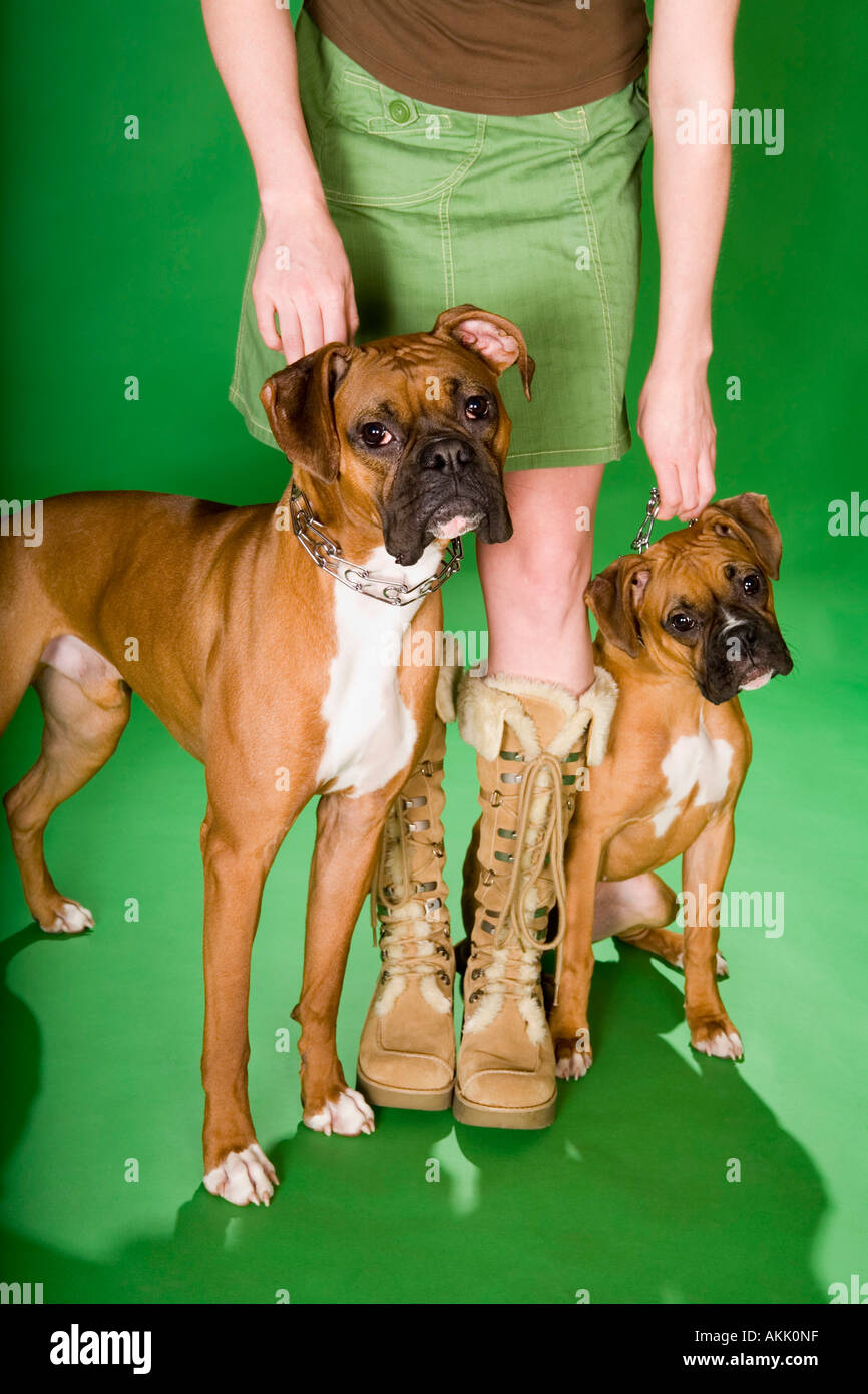 Human boxer dog woman hi-res stock photography and images - Alamy