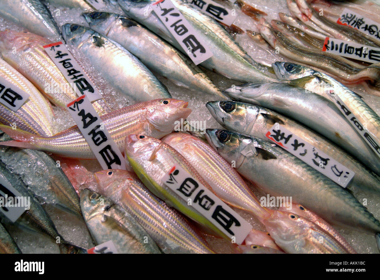 Fish on display in Nishiki street market Kyoto Japan Stock Photo - Alamy