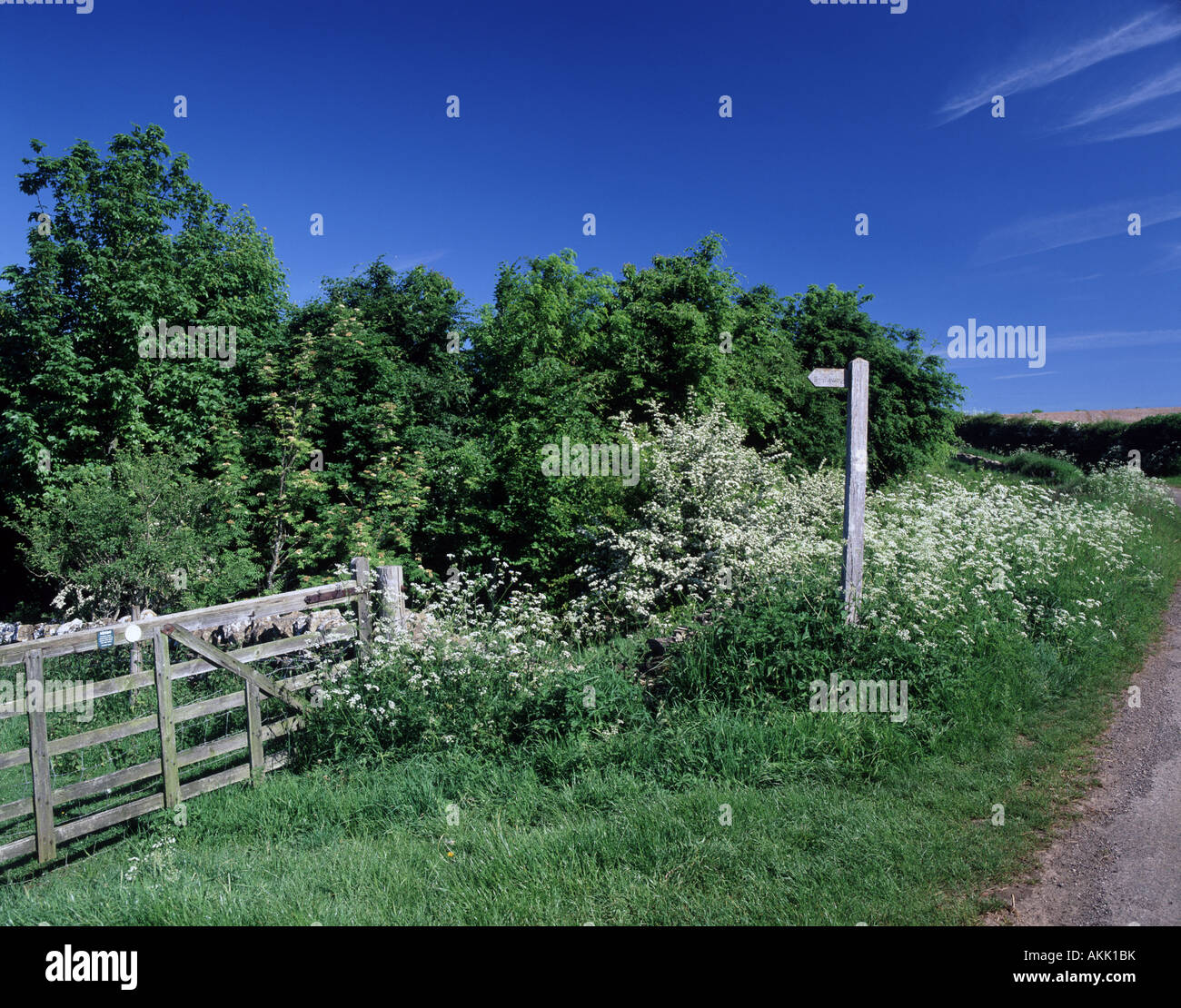 Village closed to all visitors hi-res stock photography and images - Alamy