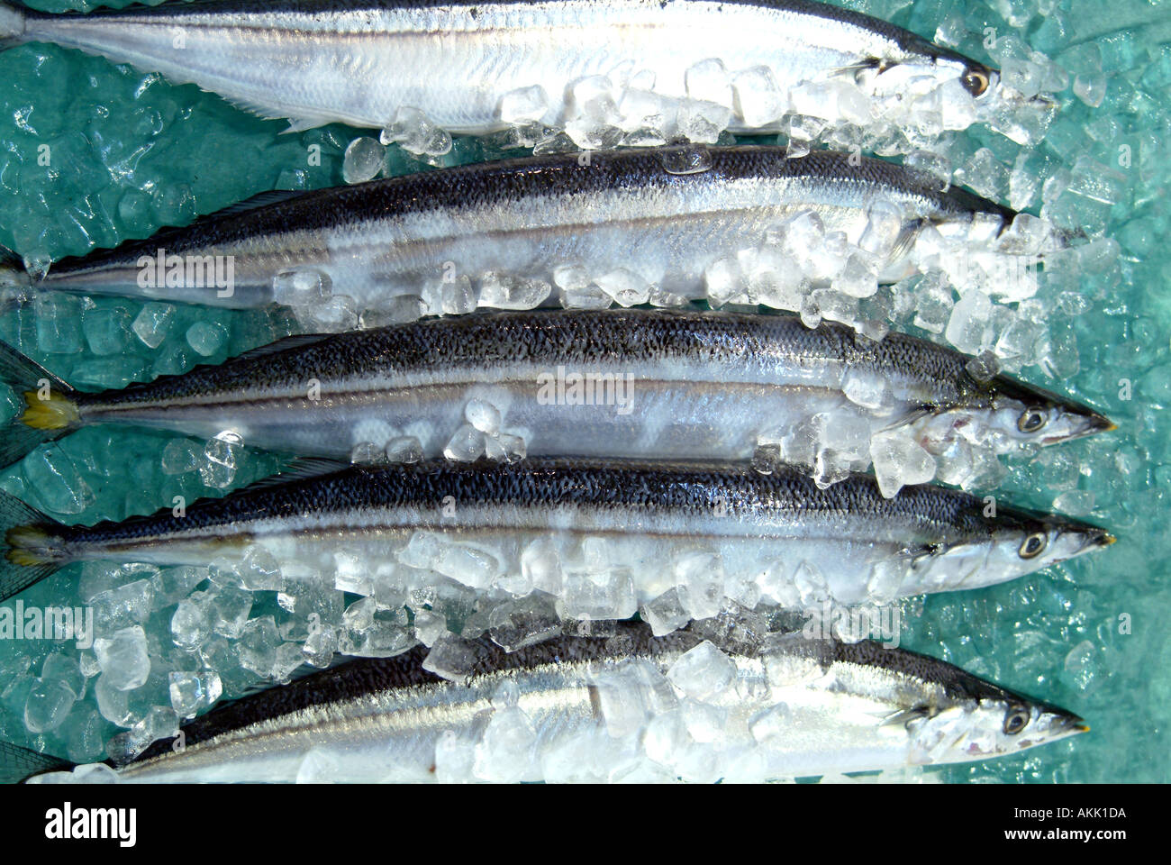 Fish on display in Nishiki street market Kyoto Japan Stock Photo - Alamy