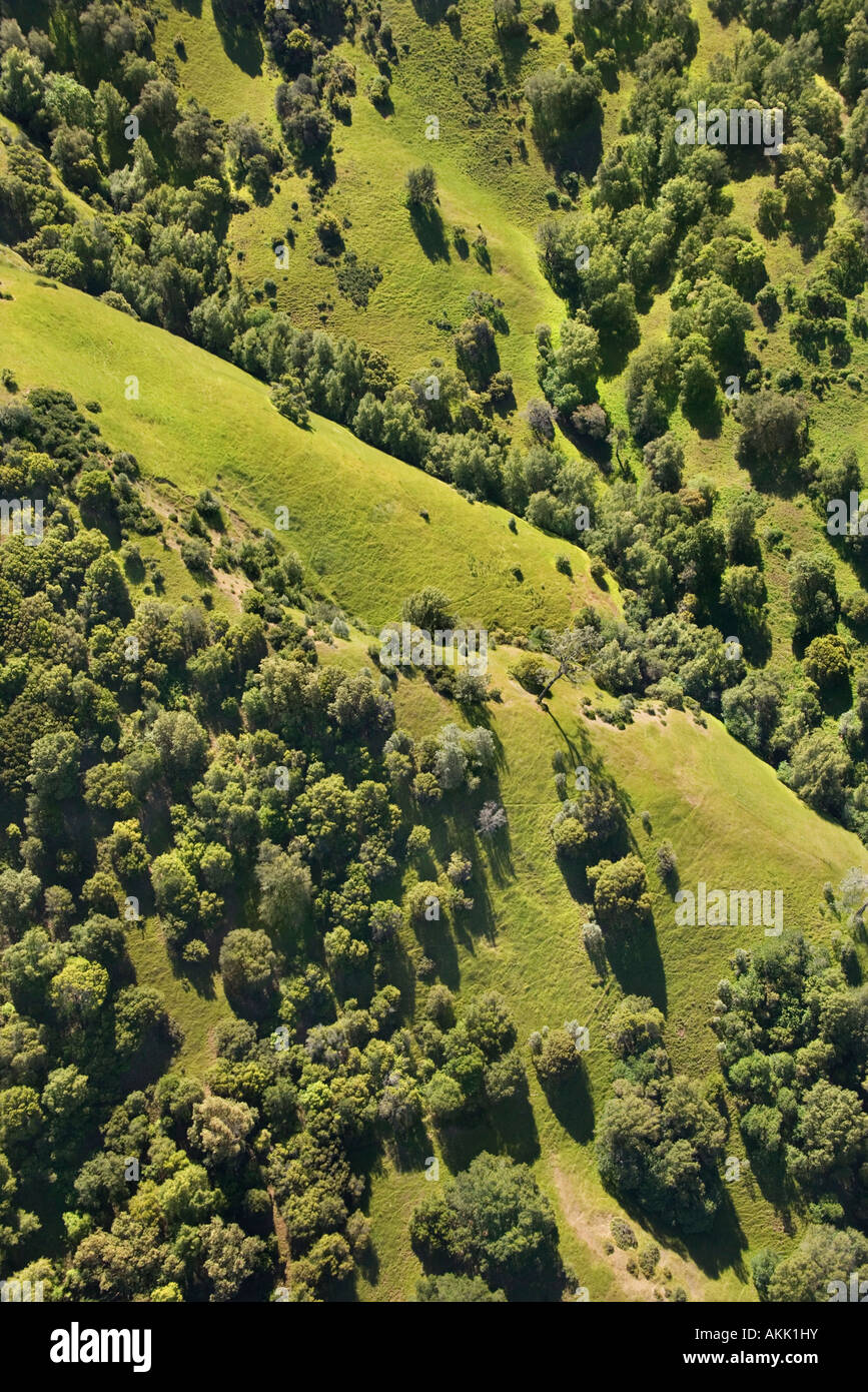 Green pastures trees in rural hi-res stock photography and images - Alamy