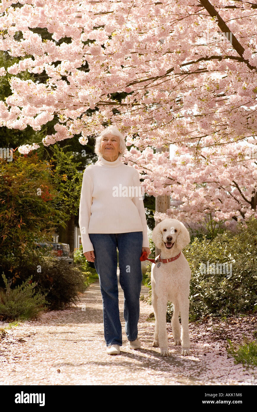 Old woman walking dog hi-res stock photography and images - Alamy