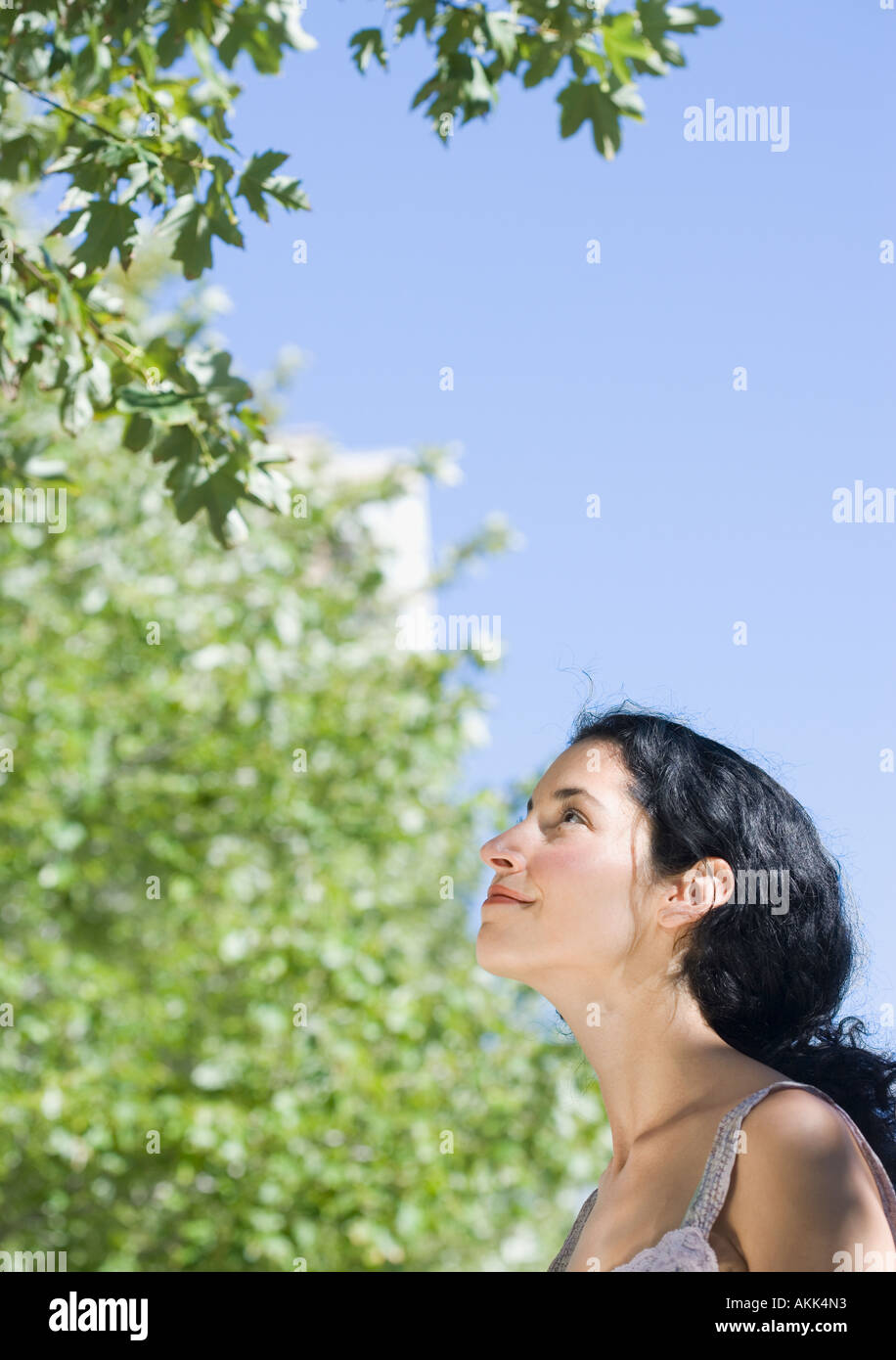 Looking at the tree hi-res stock photography and images - Alamy
