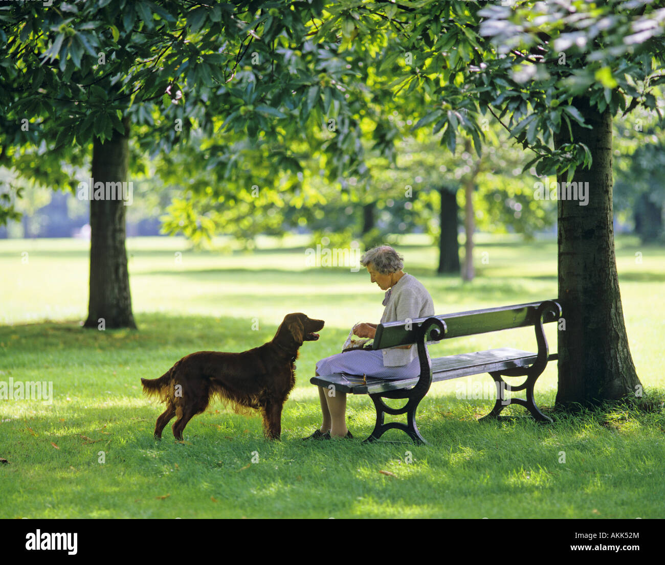 An old lady on a bench is talking to her dog at Hyde Park London ...