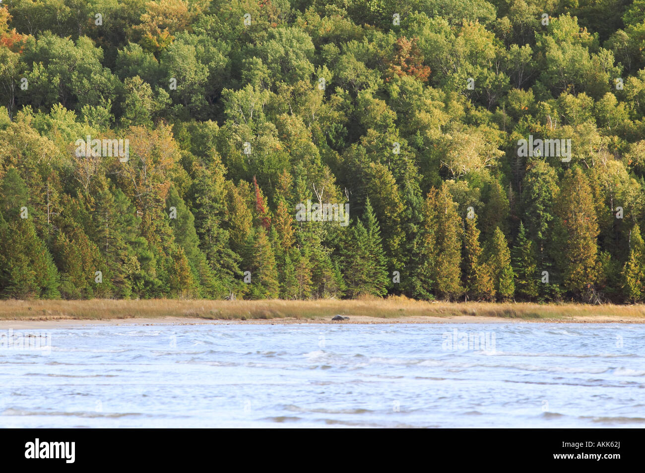 Shorline on Lake Michigan, Haunted Forest Preserve, Michigan s Upper ...