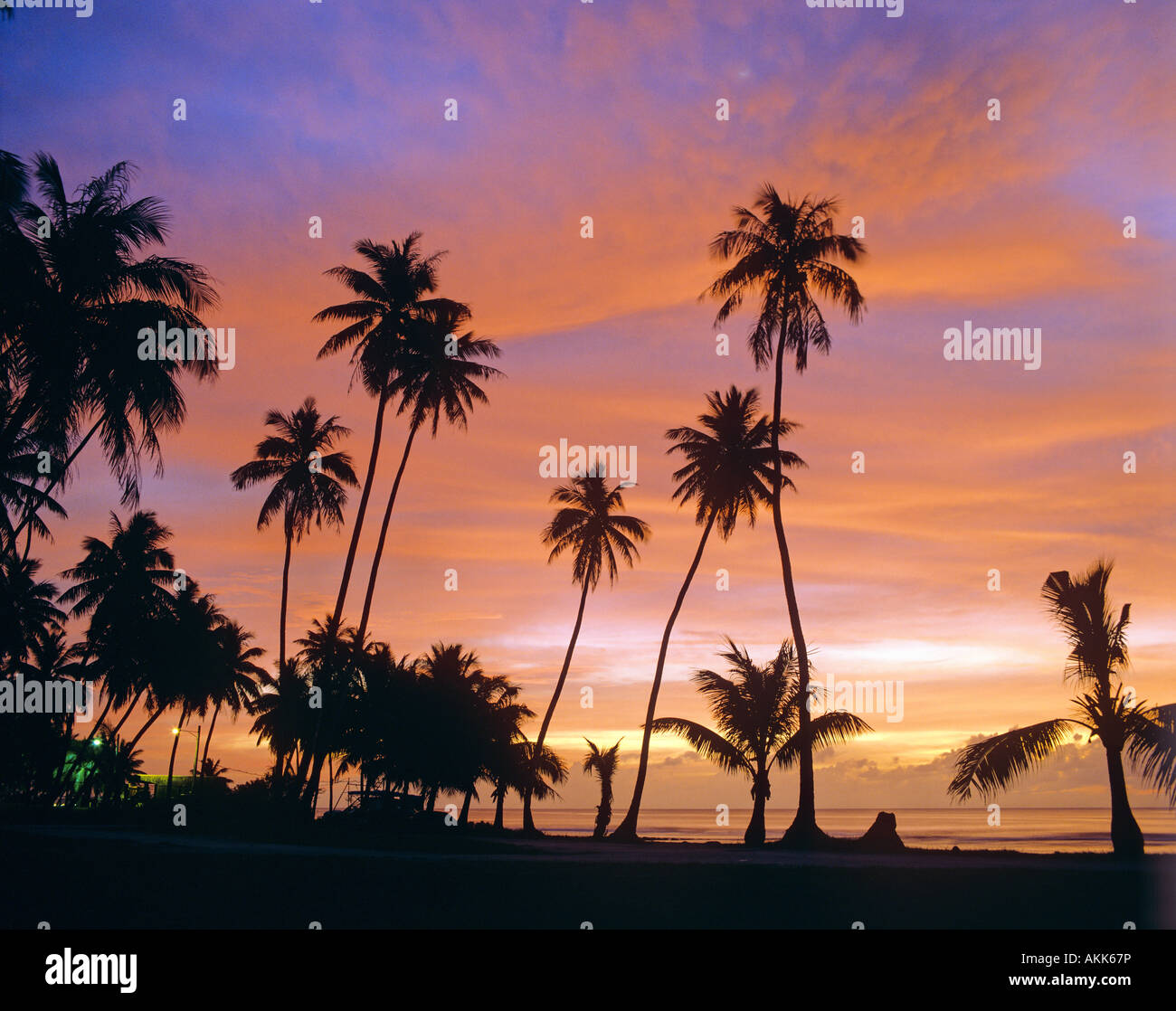 The Sunset Sky over Palm Trees on the beach in Guam Island Mariana ...