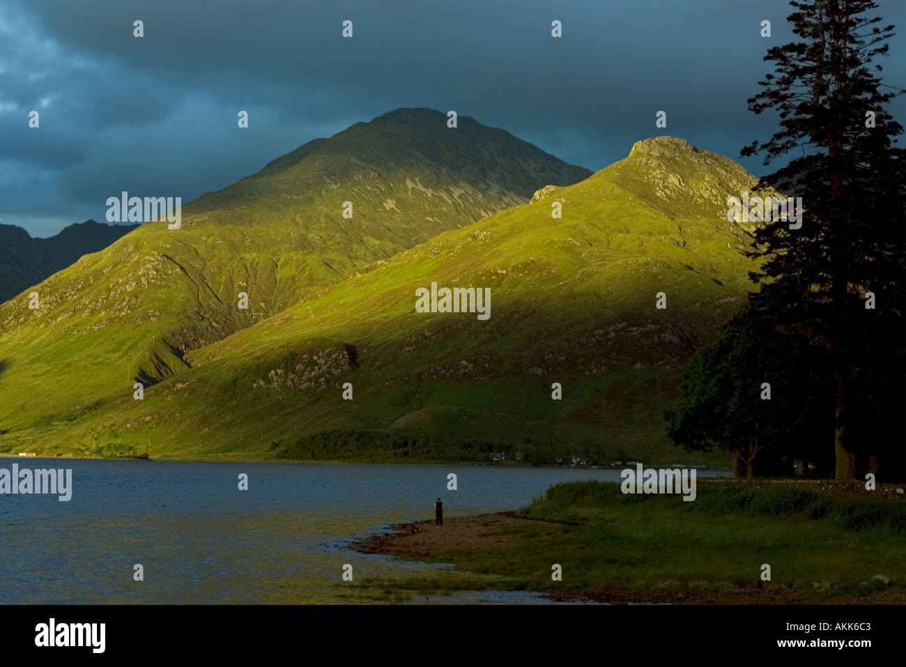 Lonely man tree dramatic hi-res stock photography and images - Alamy