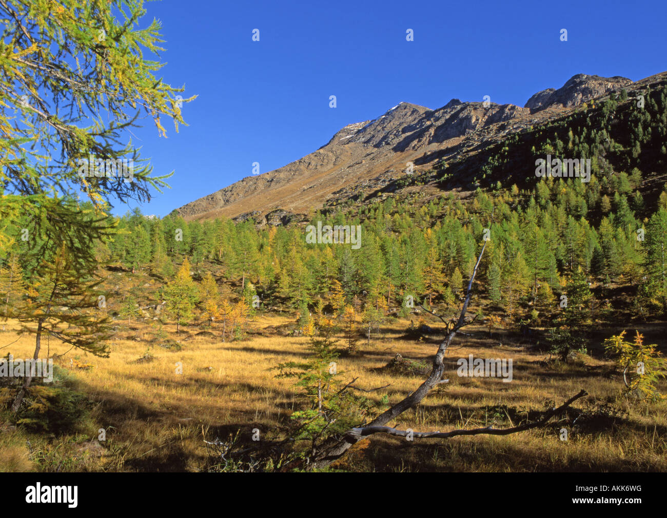 Martell Valley at Parco Nazionale dello Stelvio, South Tyrol, Italy ...