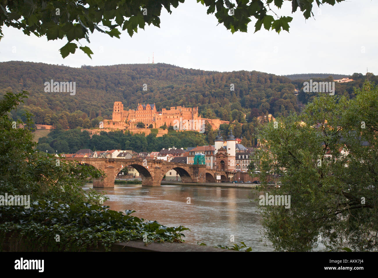 Evening light catching the red stonework of Heidelberg castle Baden ...