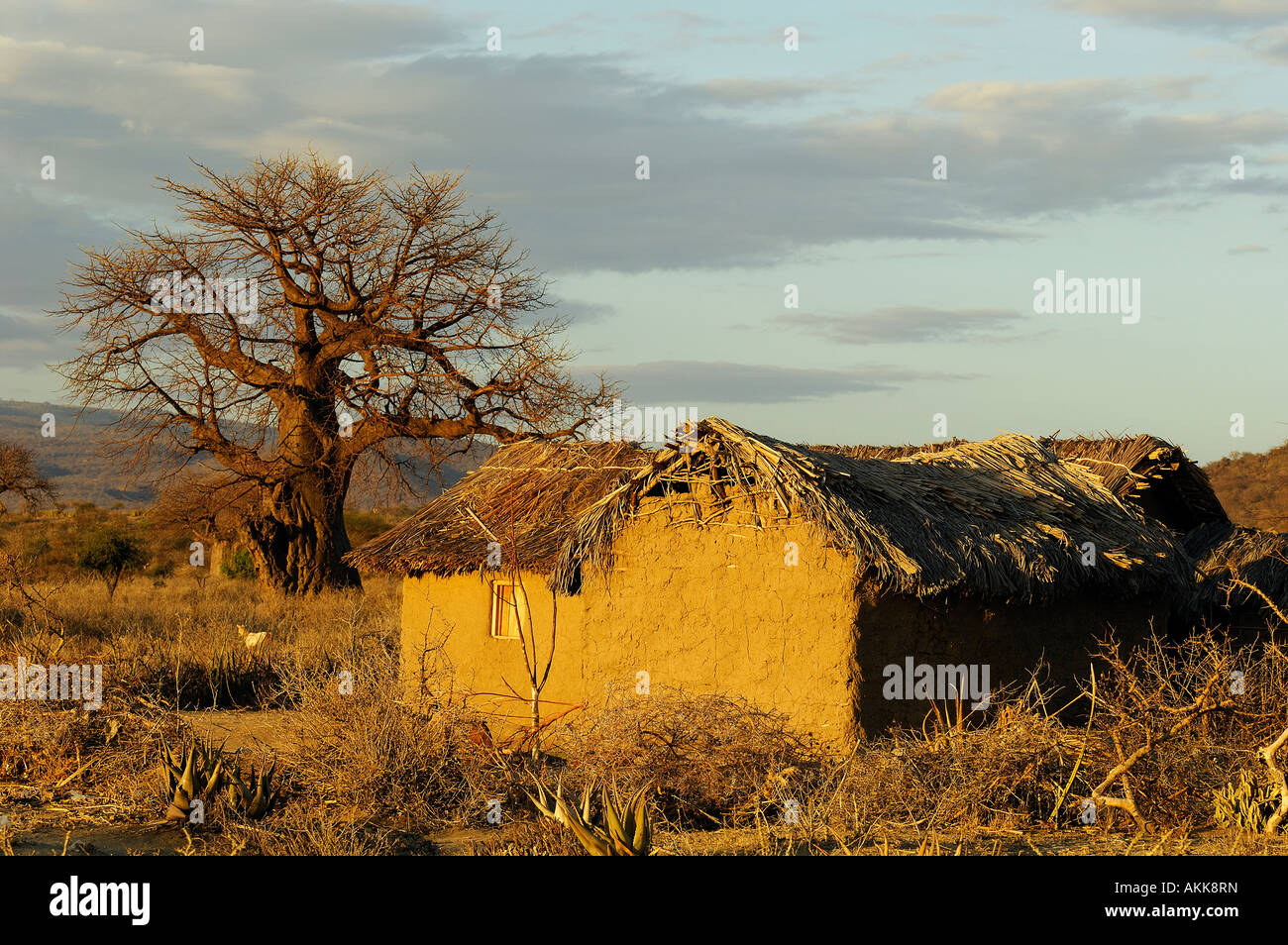 Tanzania, Rift Valley, village near the Lake Eyasi Stock Photo - Alamy