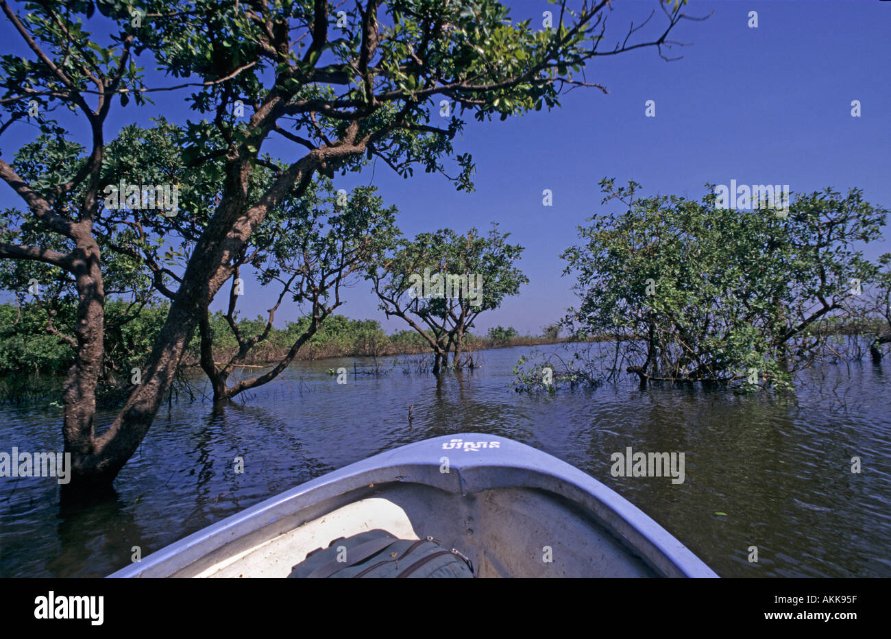 Indo china forest hi-res stock photography and images - Alamy