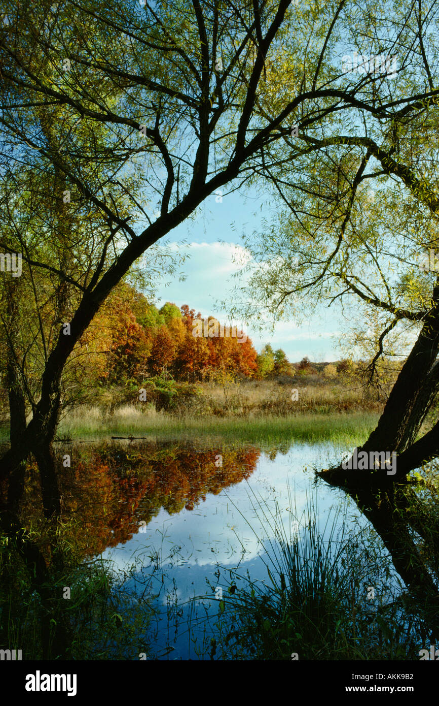 Ephemeral wetland hi-res stock photography and images - Alamy