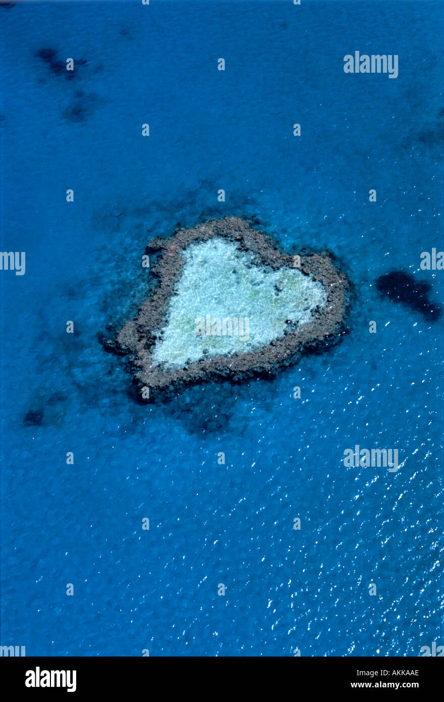 Heart reef whitsunday islands hi-res stock photography and images - Alamy