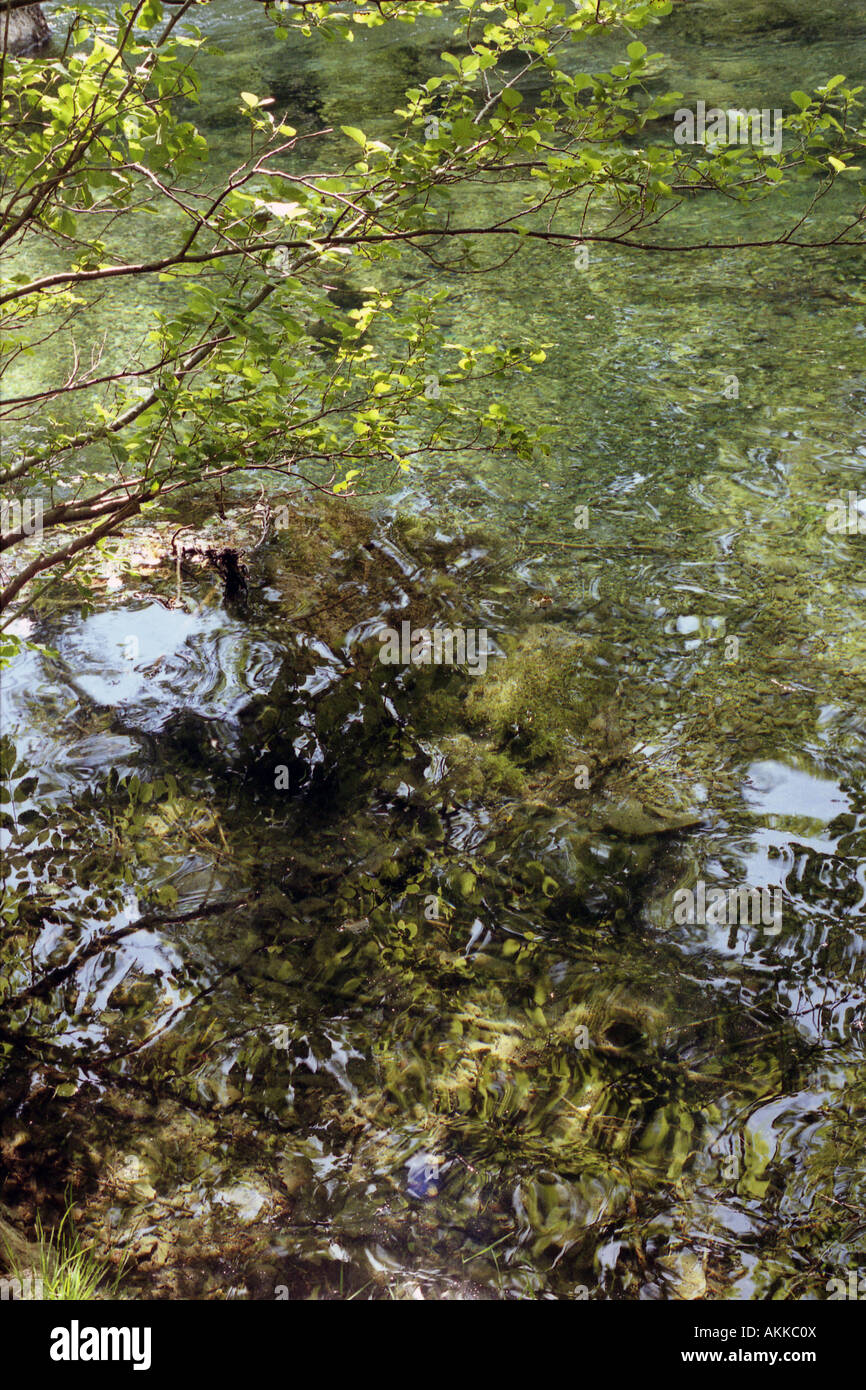 Vis river translucent water Stock Photo - Alamy