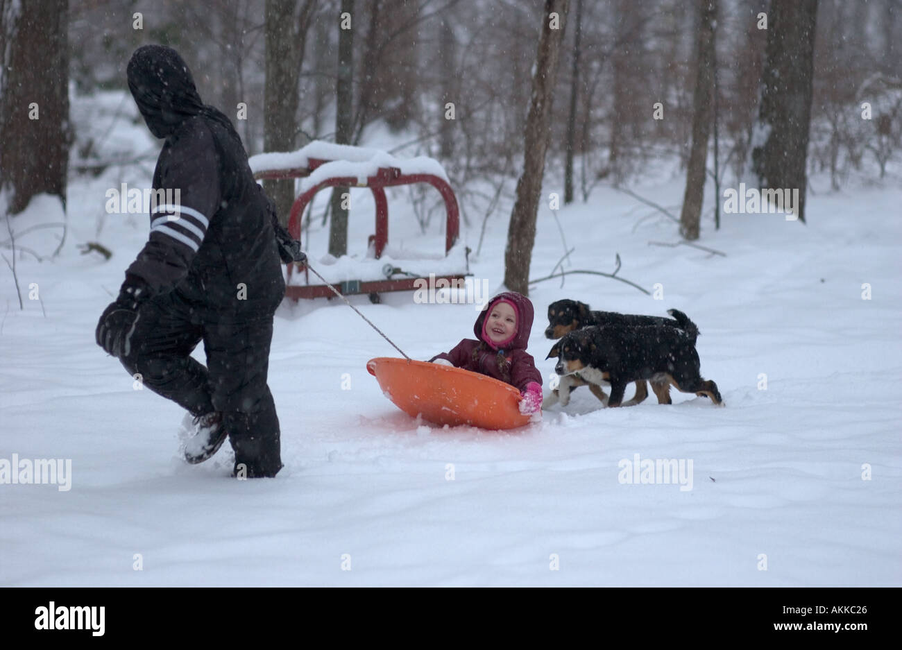Girl Pulled On Sled High Resolution Stock Photography and Images - Alamy