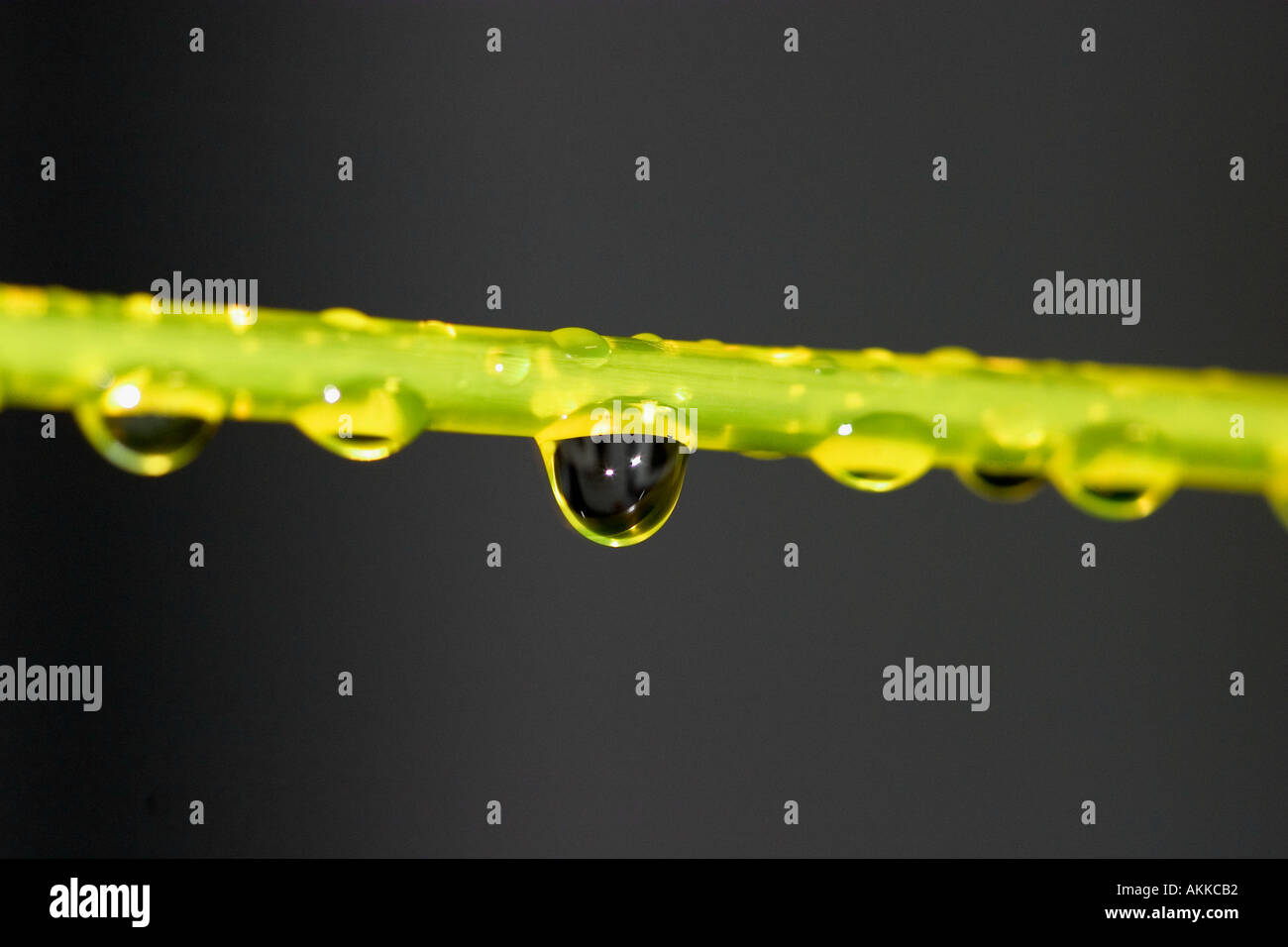 Water Drip Drop Neon Luminous Surface Tension Hang Gravity Reflection ...