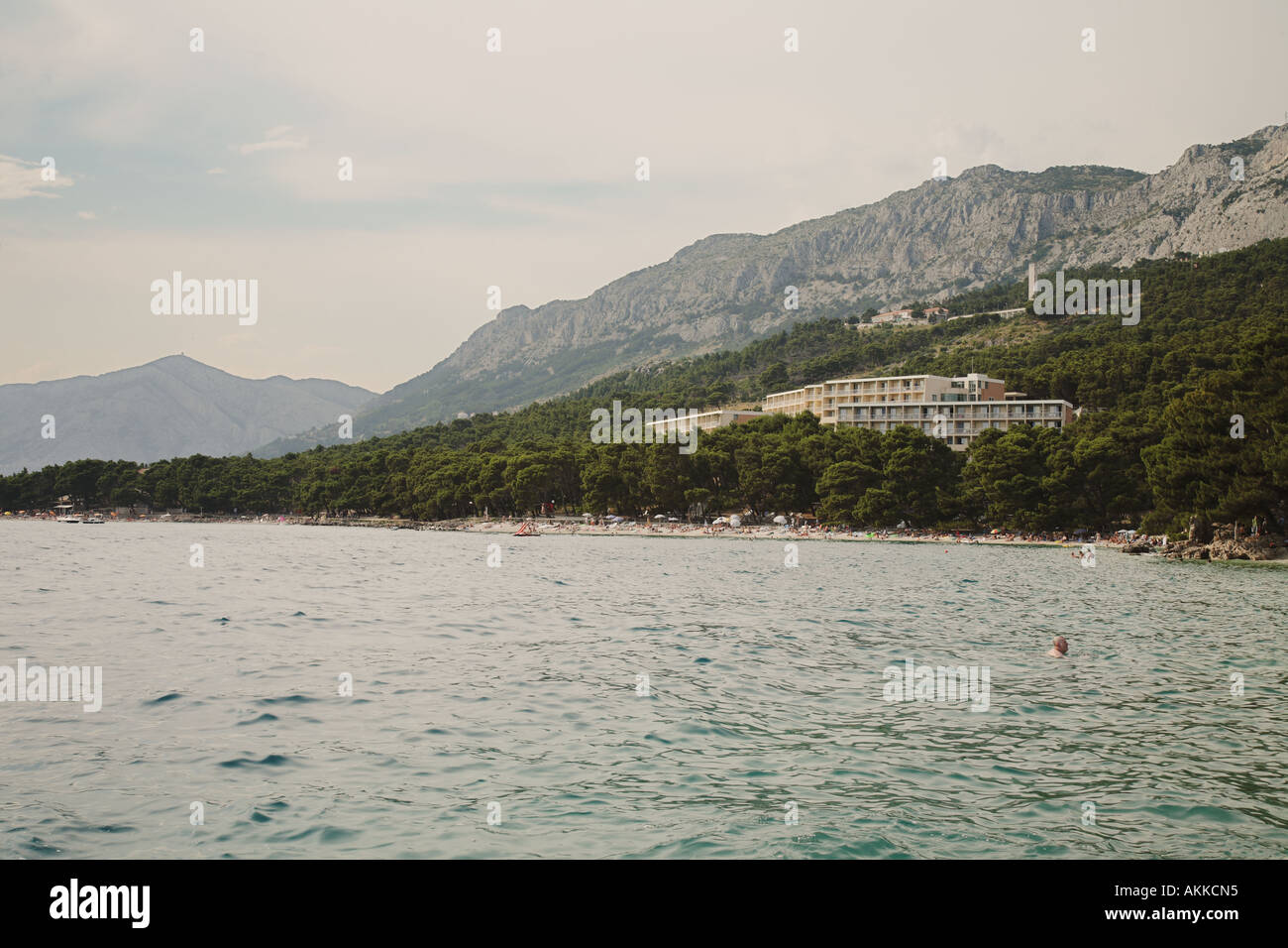 Brela Trees Boat High Resolution Stock Photography and Images - Alamy