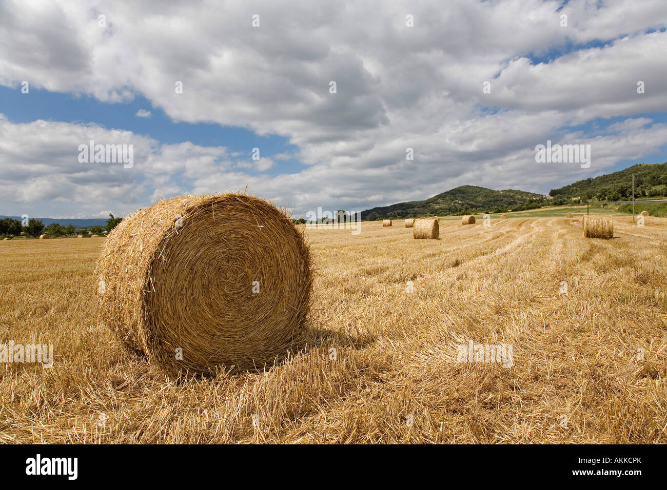 Packed grains hi-res stock photography and images - Alamy