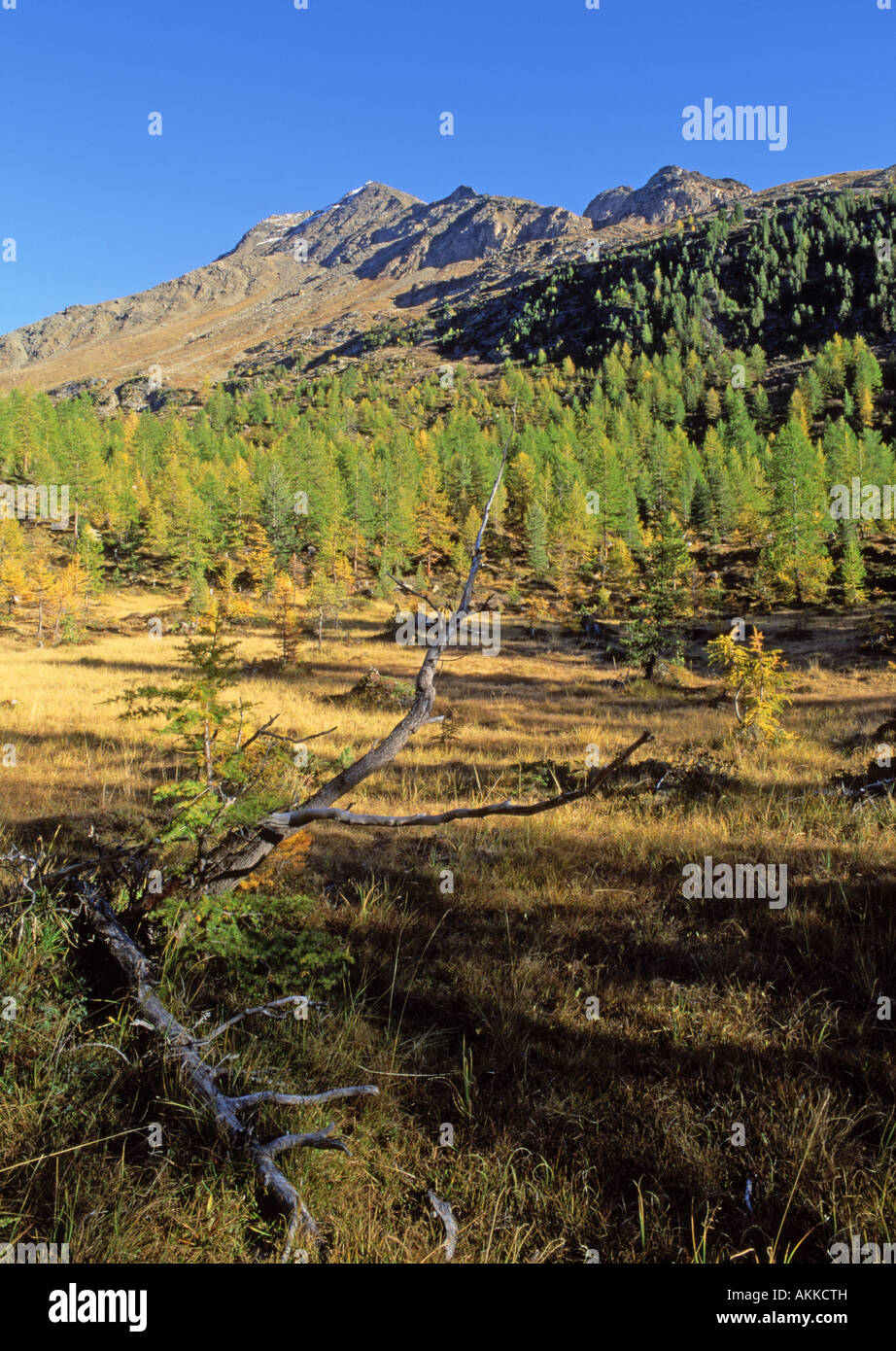Martell Valley at Parco Nazionale dello Stelvio, South Tyrol, Italy ...